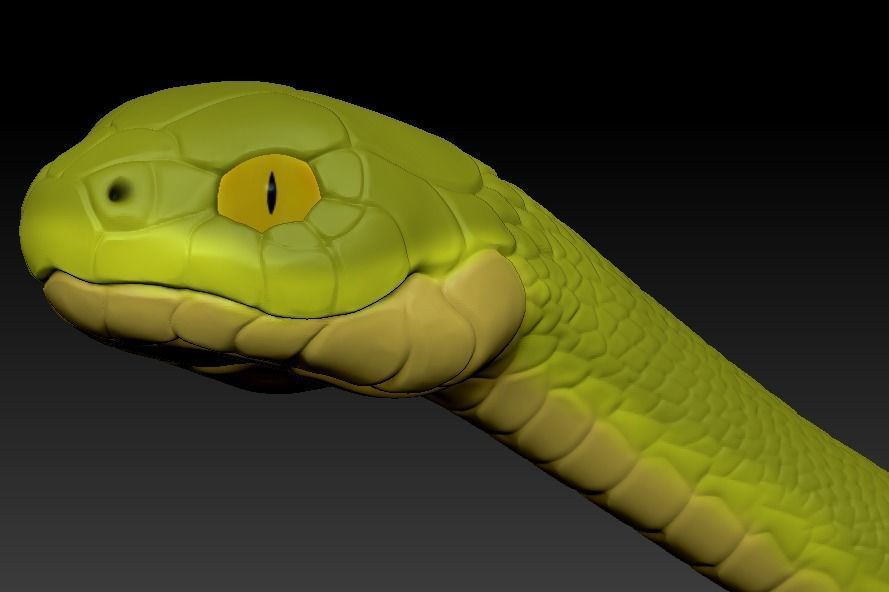 3D model Stylish Low Poly Snake VR / AR / low-poly | CGTrader