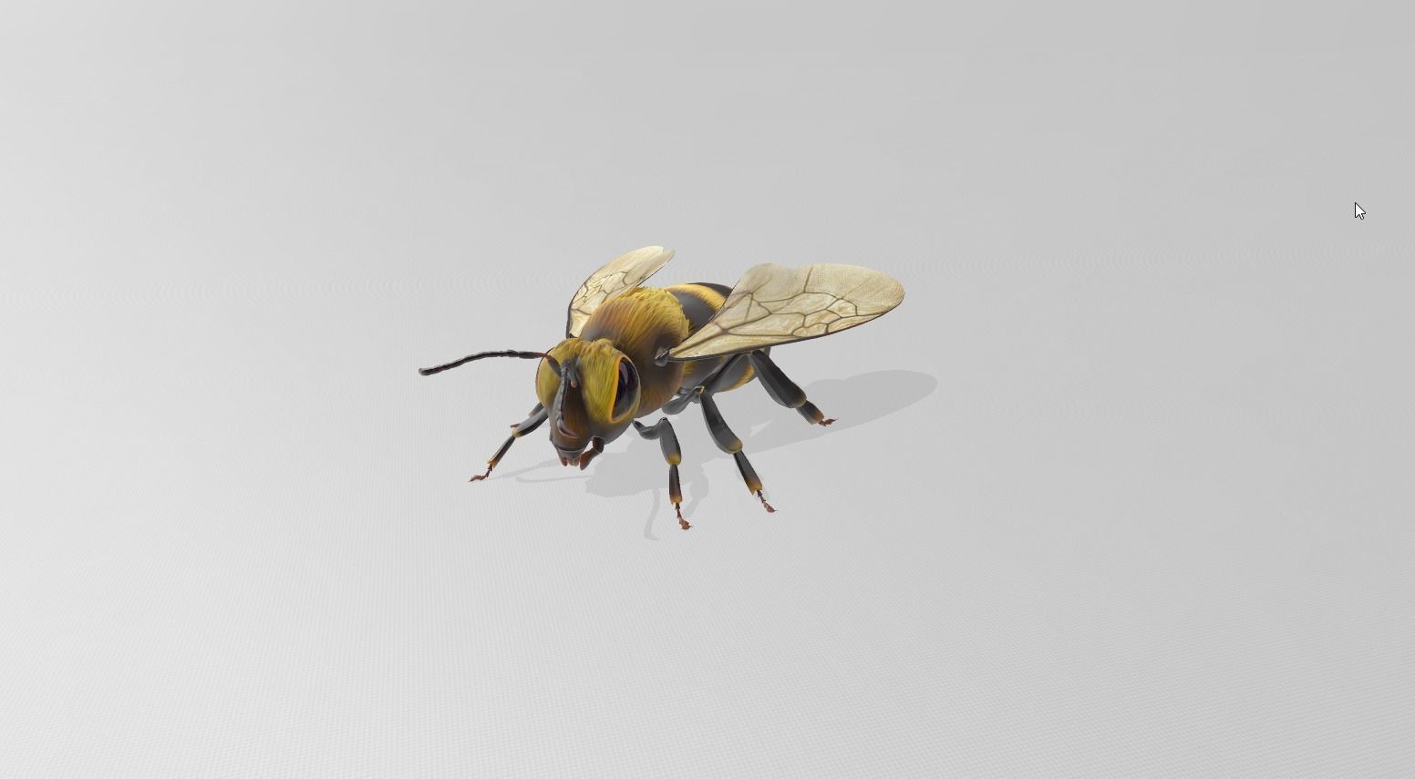 Bee STL 3D model 3D printable | CGTrader
