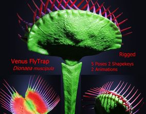 Animated Venus 3D Models | CGTrader