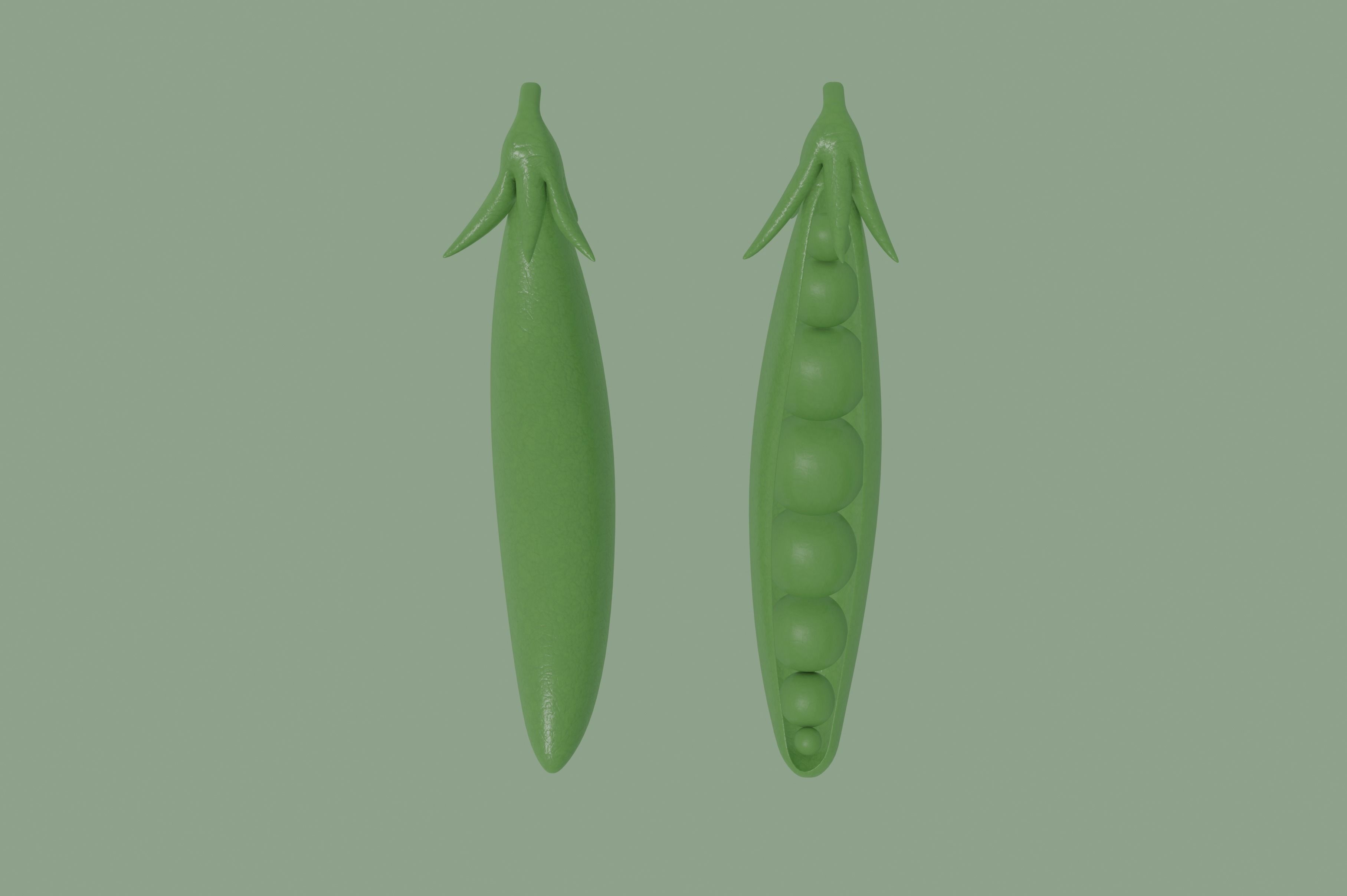 Pea model 3D model rigged | CGTrader