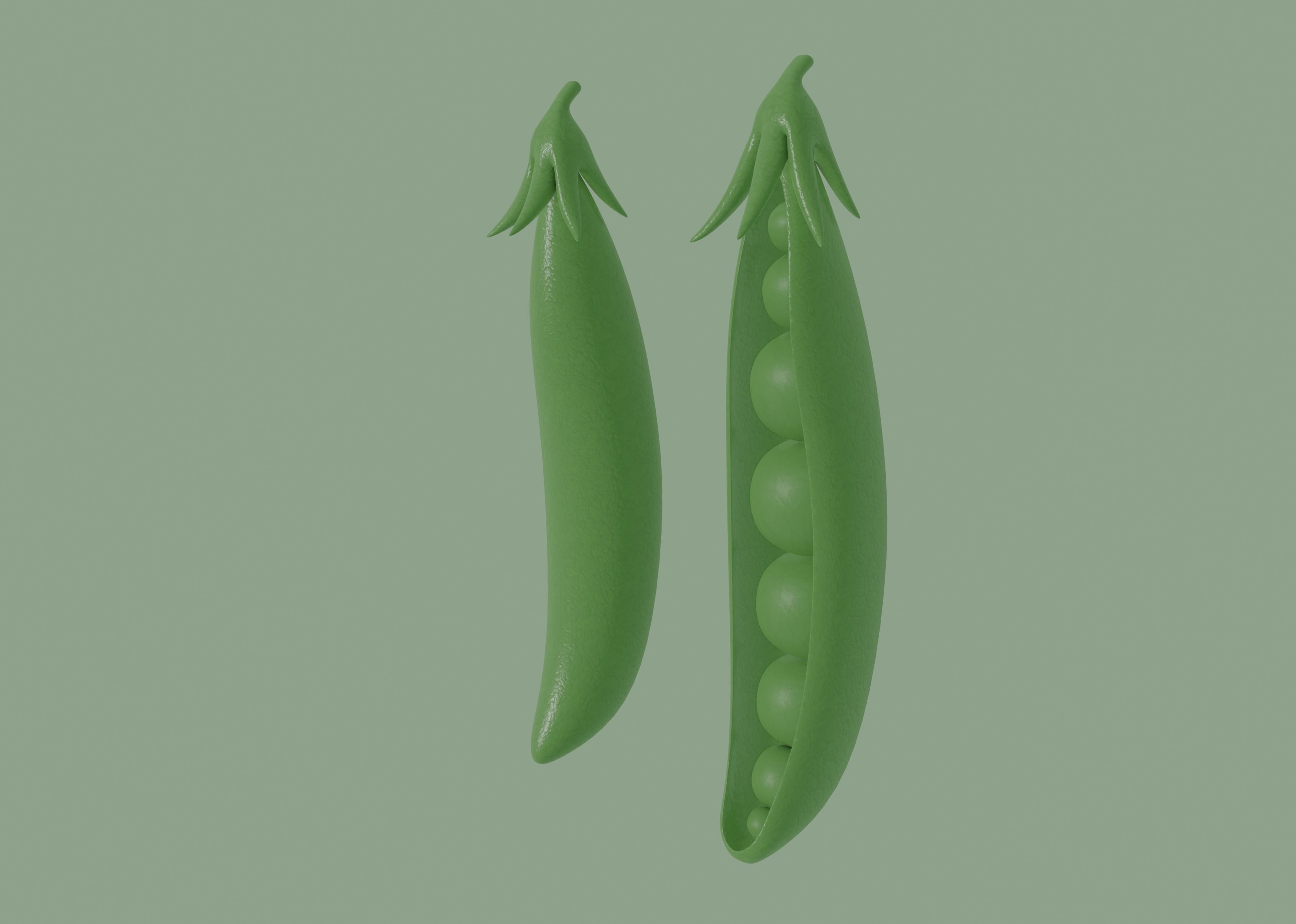 Pea model 3D model rigged | CGTrader