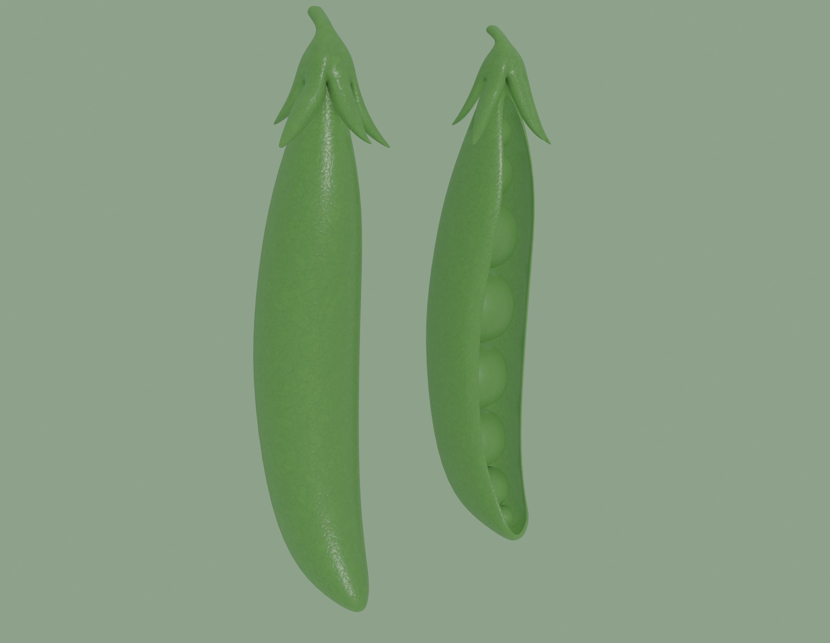 Pea model 3D model rigged | CGTrader