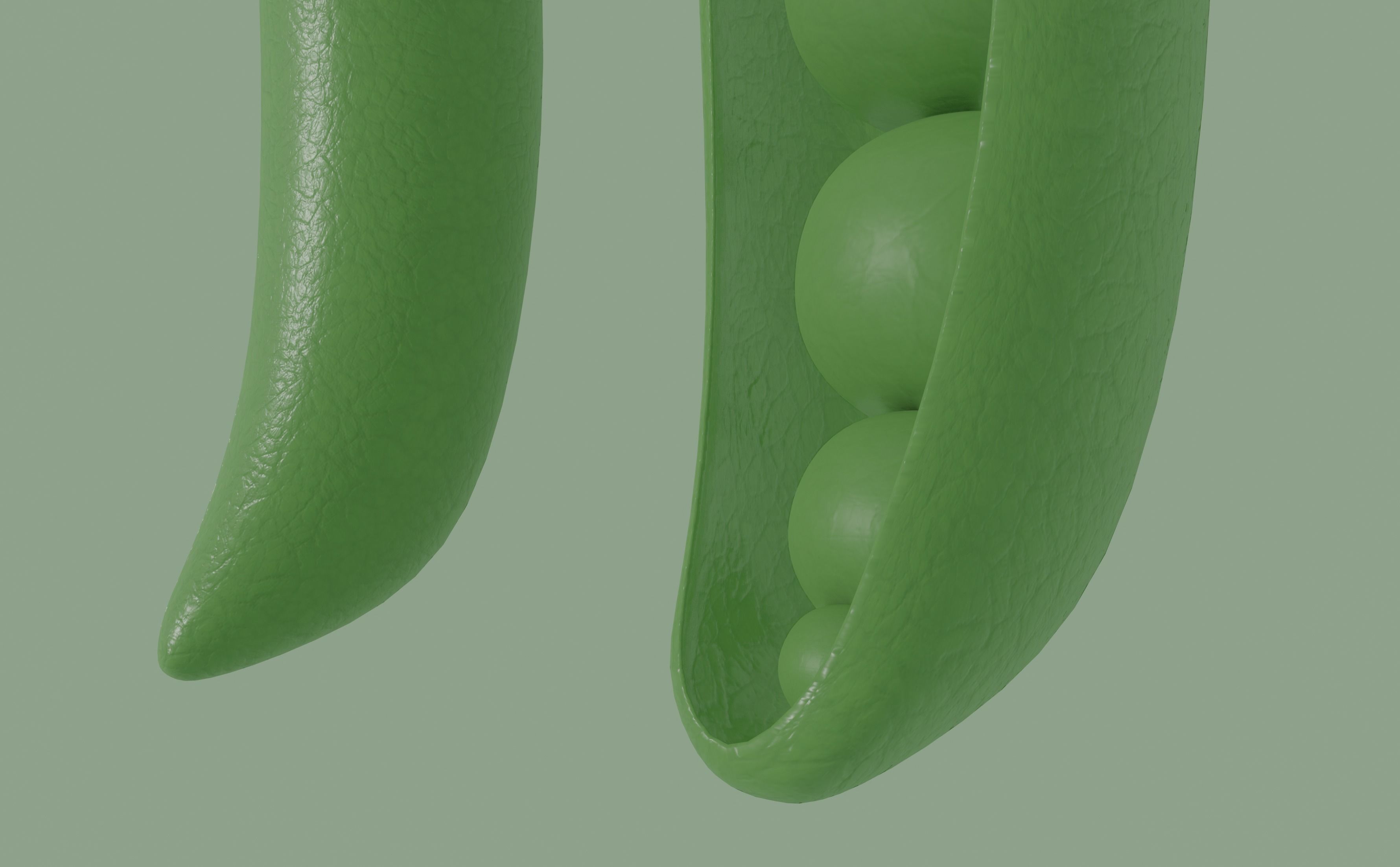 Pea model 3D model rigged | CGTrader
