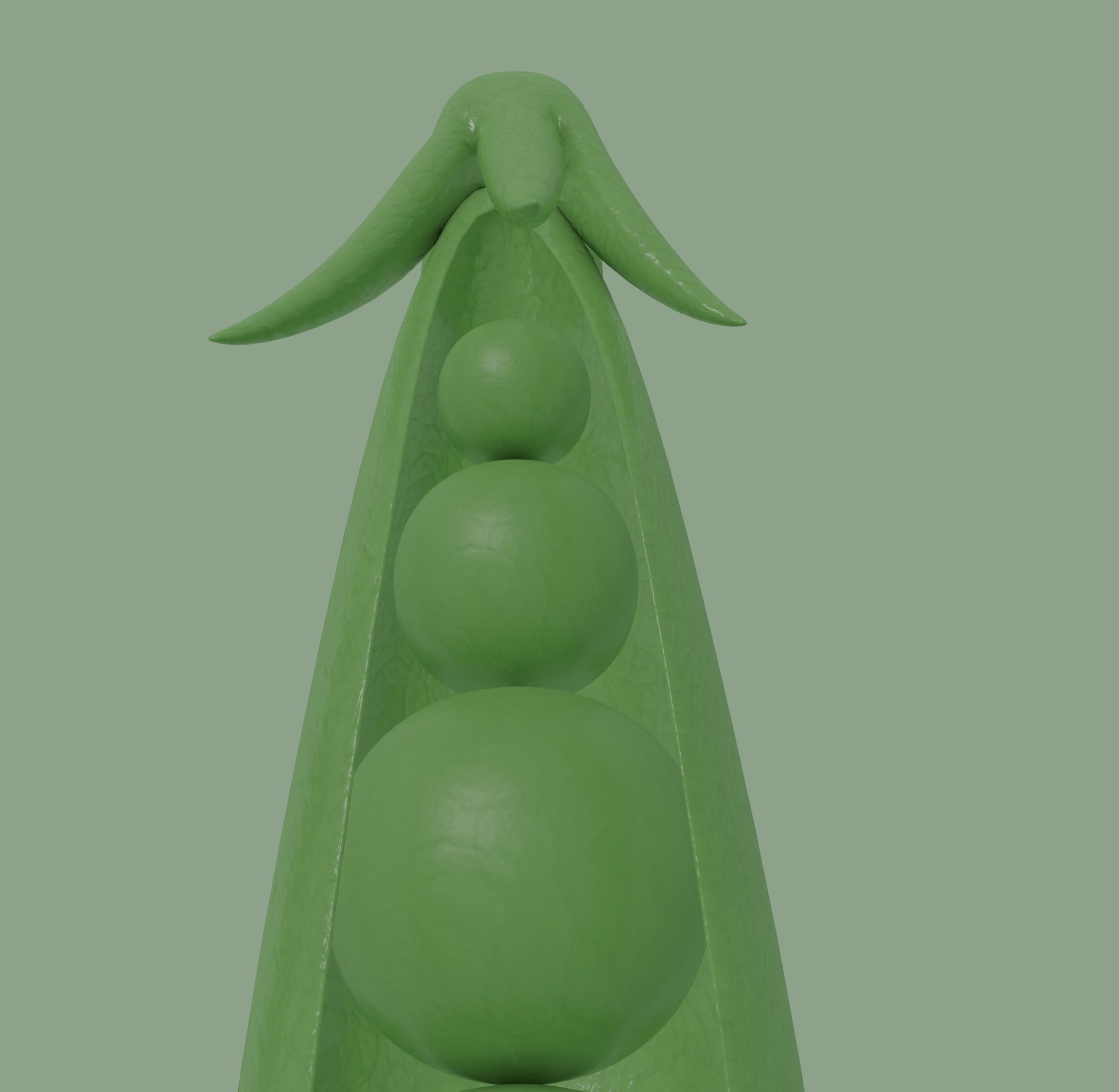 Pea model 3D model rigged | CGTrader