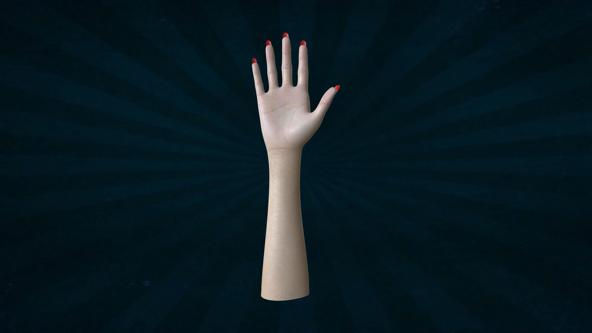 HAND-018 Woman right hand 3D model rigged | CGTrader