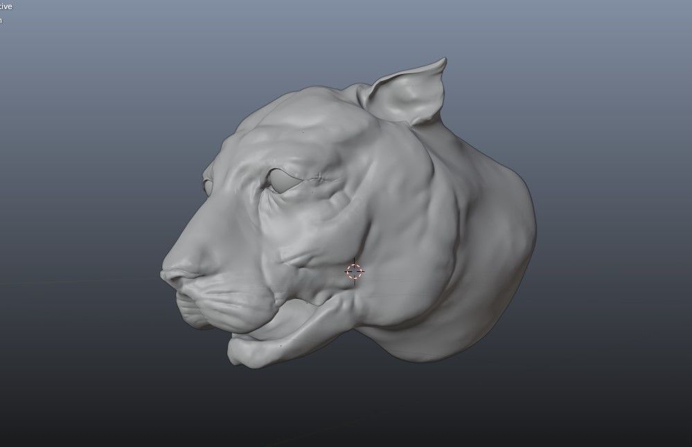Tiger high poly sculpt free 3D model | CGTrader
