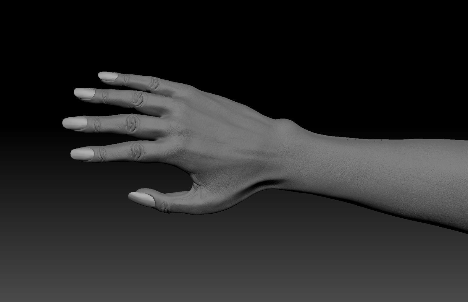 Realistic women hand 3D model | CGTrader