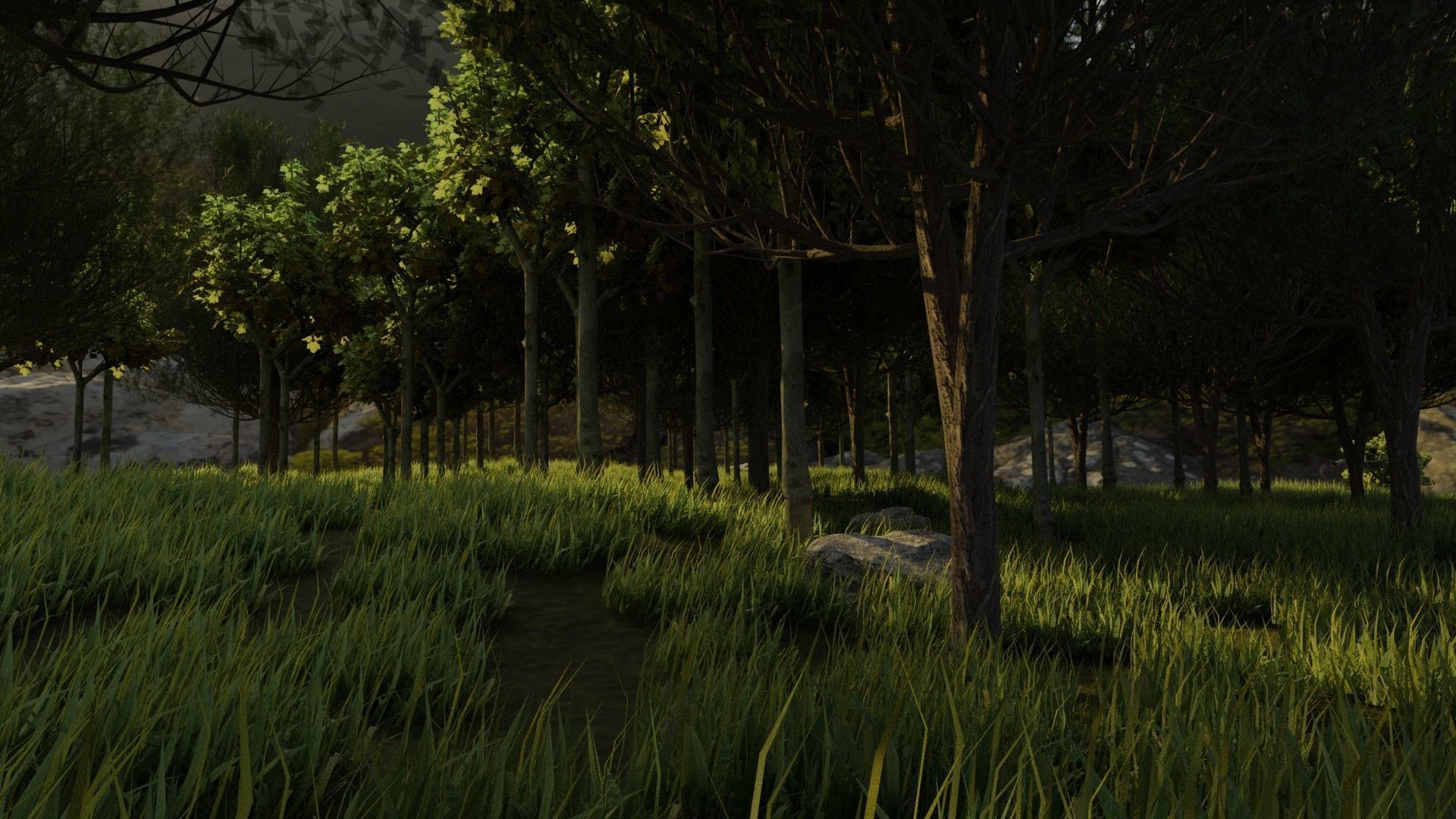 Forest with grass and trees 3D model | CGTrader