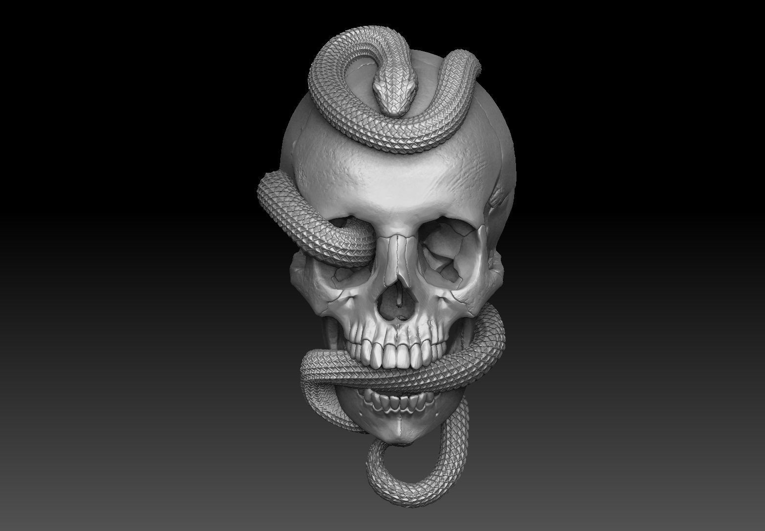 Skull with snake Bas-Relief cnc 3D print model 3D model 3D printable ...