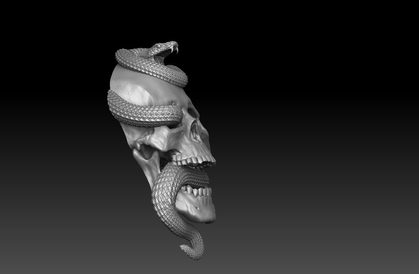 Skull with snake Bas-Relief cnc 3D print model 3D model 3D printable ...
