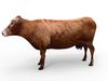 3D model Brown Cow Cattle VR / AR / low-poly | CGTrader