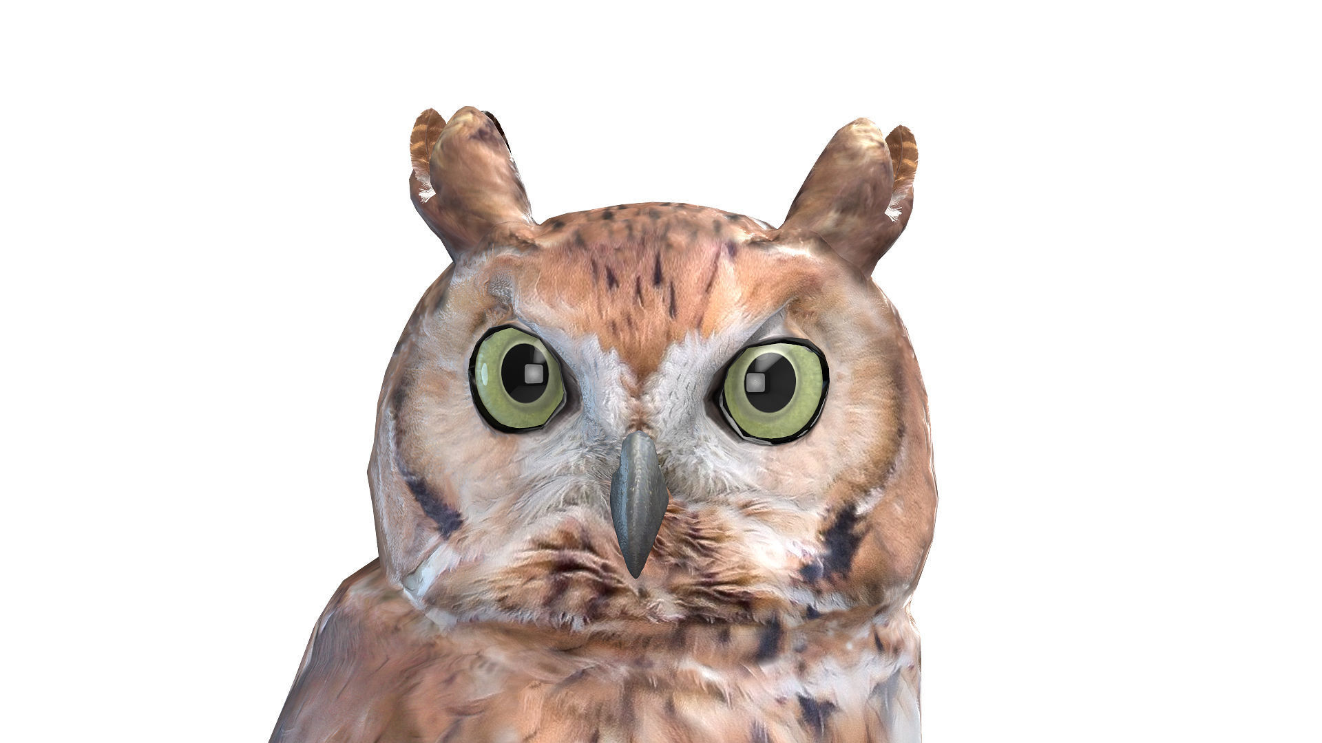 3D model Screech Owl VR / AR / low-poly | CGTrader