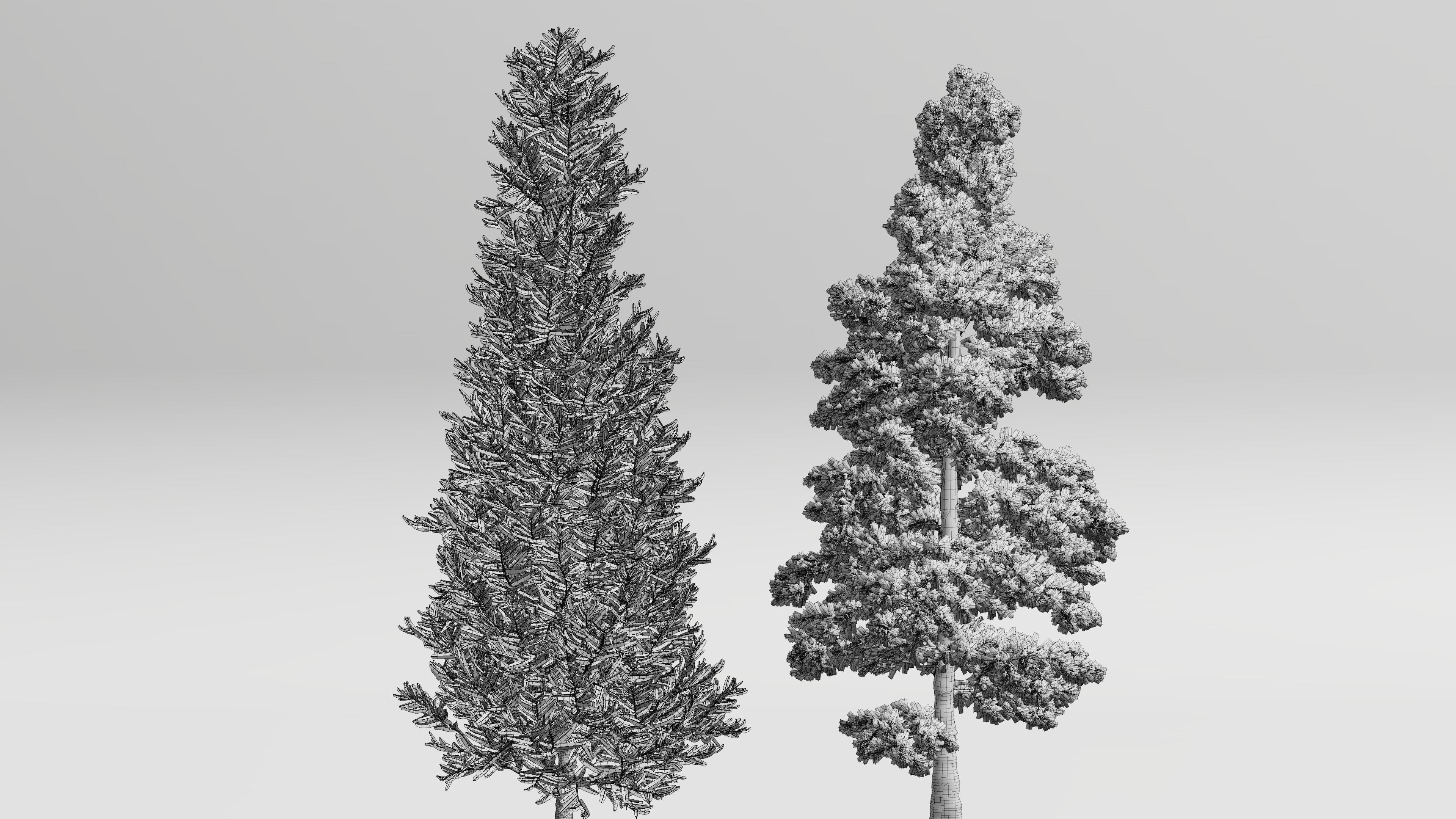 Pine tree set 3D model | CGTrader