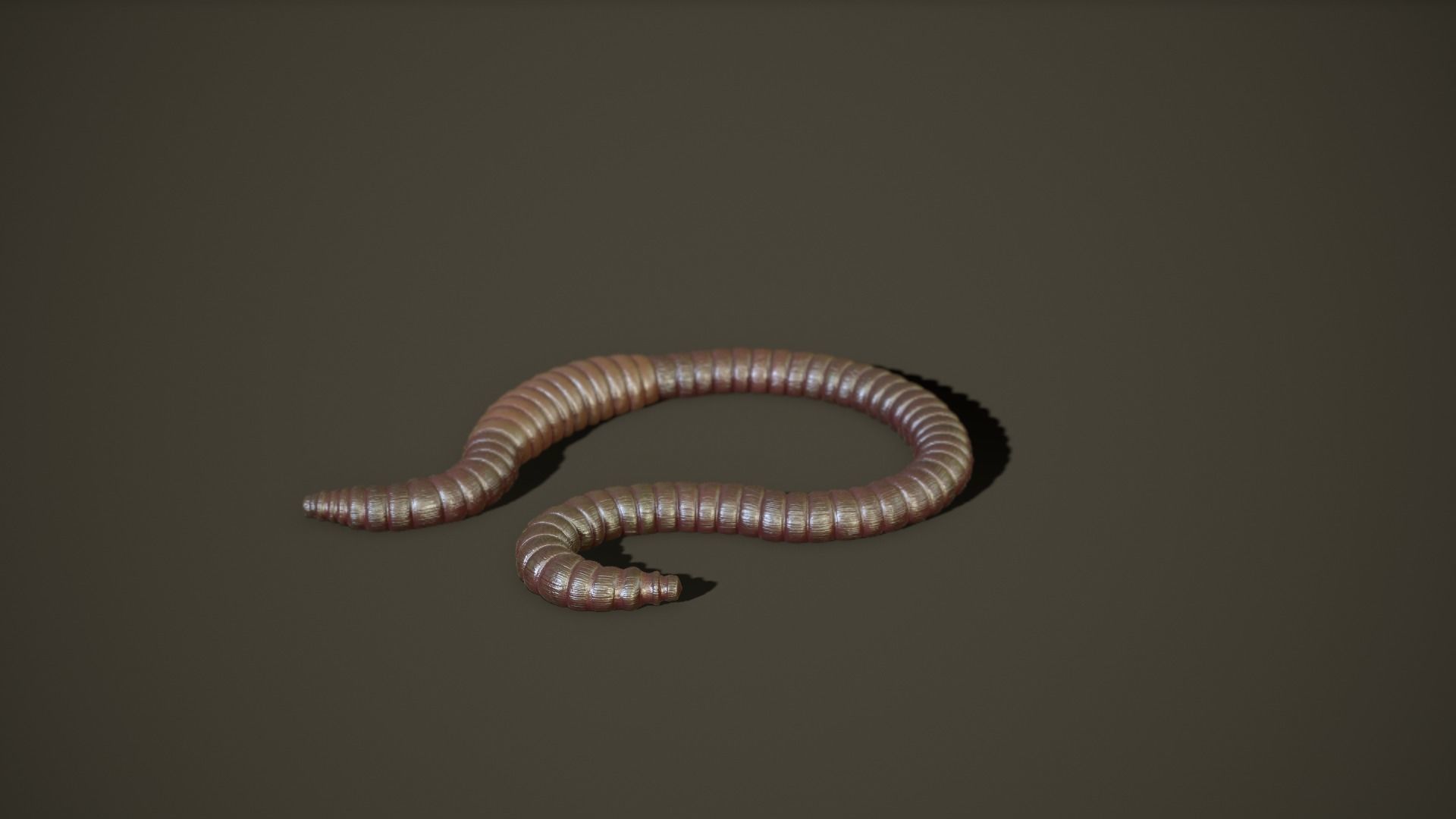 3D model Earthworms Rigged PBR VR / AR / low-poly rigged | CGTrader
