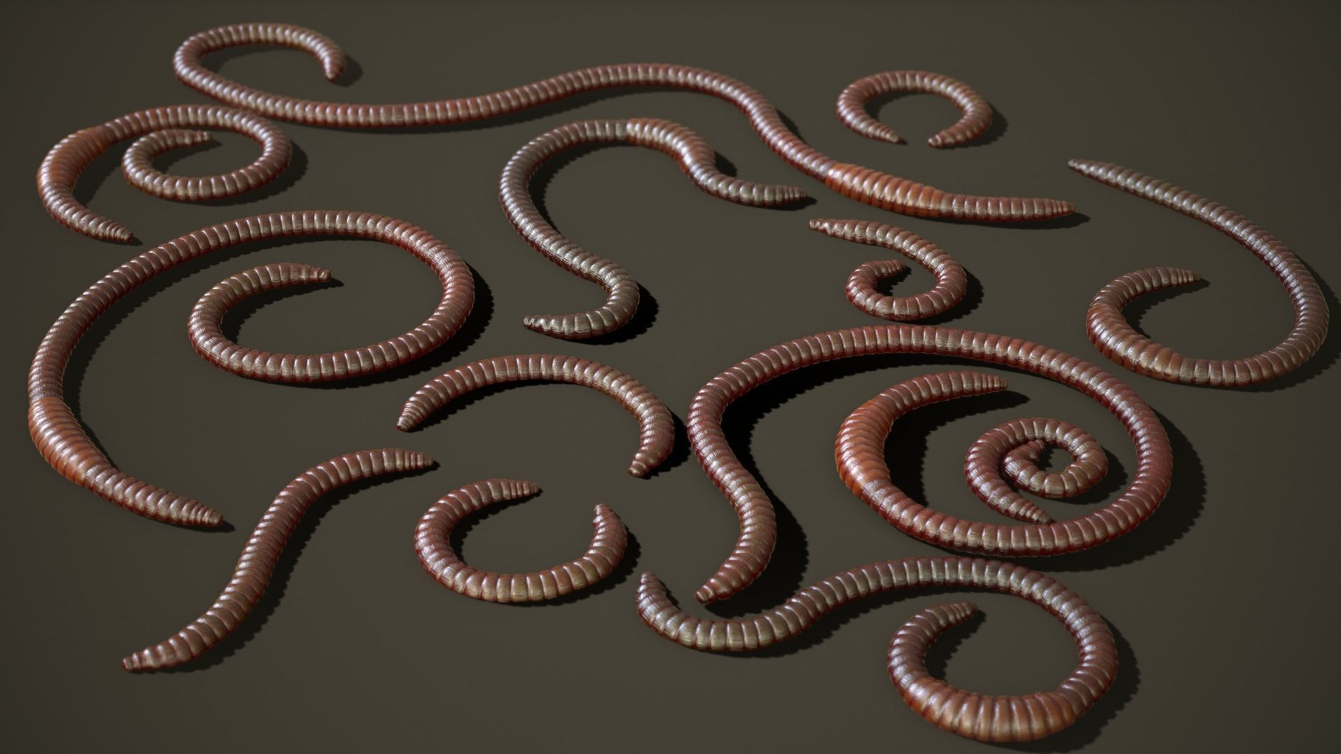 3D model Earthworms Rigged PBR VR / AR / low-poly rigged | CGTrader