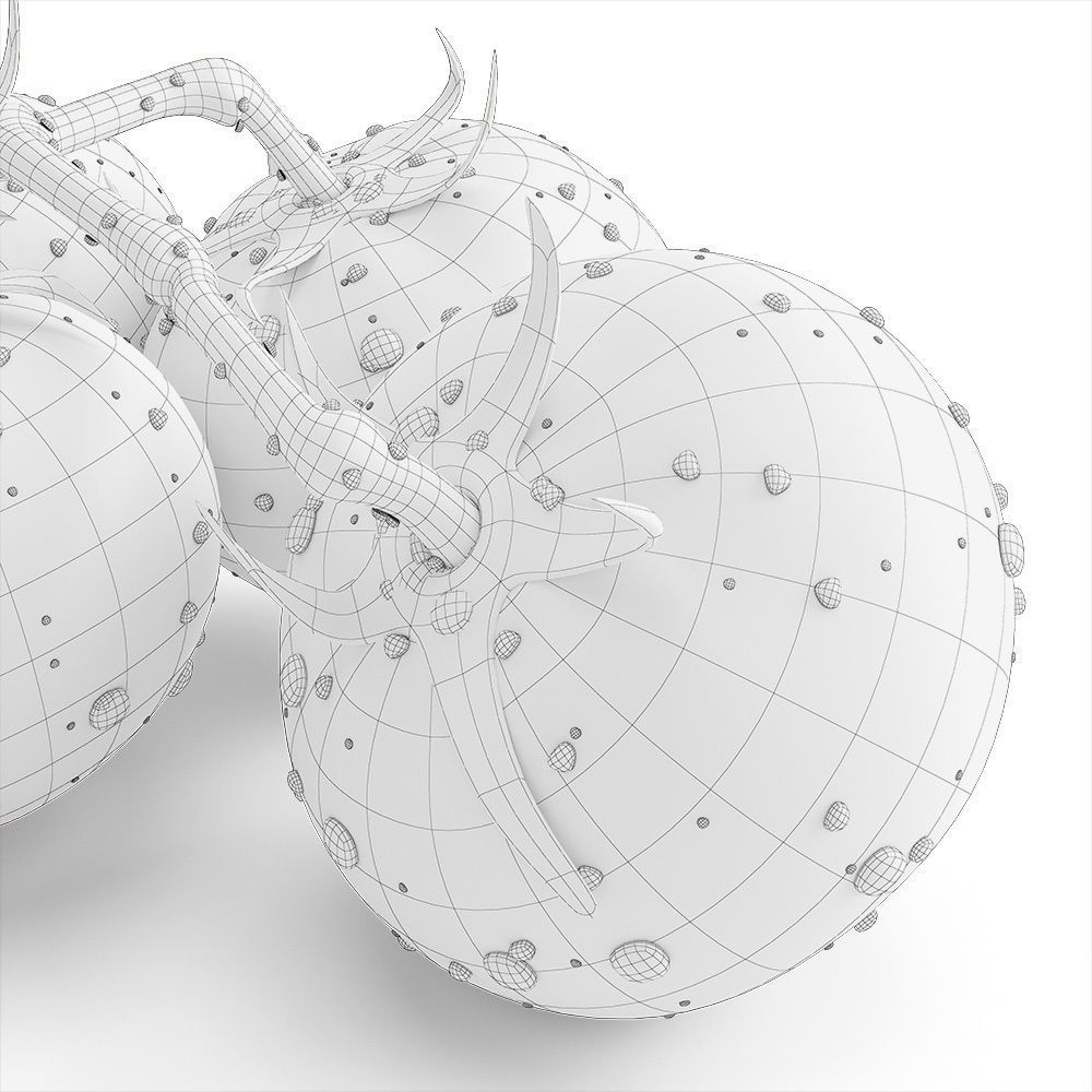 Branch with Red Tomatoes 3D model | CGTrader