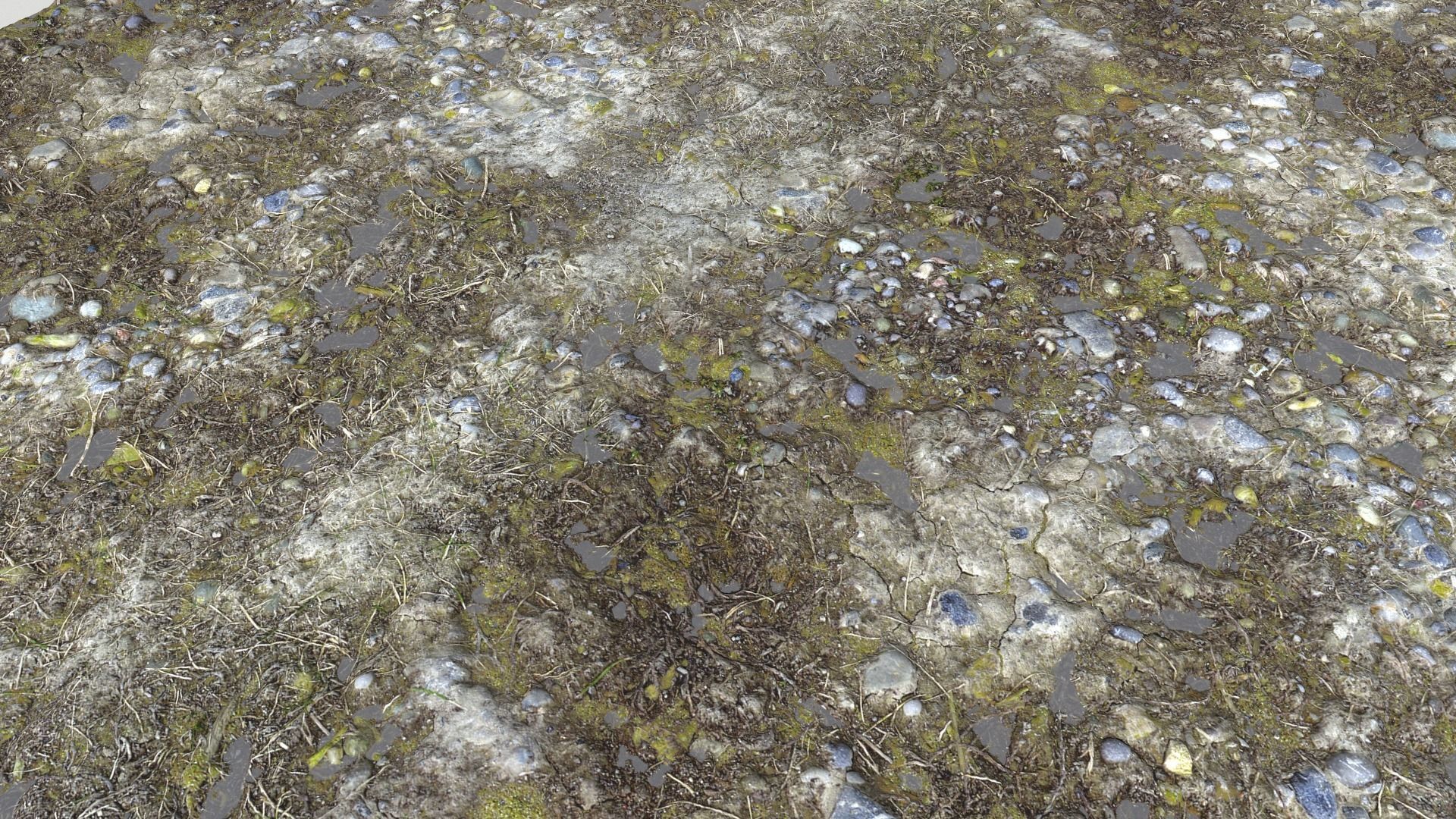 Texture Dirt Terrain PBR Pack 11 VR / AR / low-poly | CGTrader
