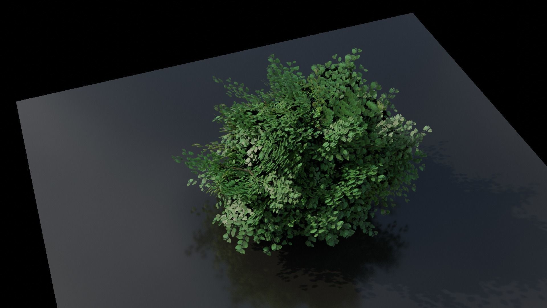 Simple shrub 3D model | CGTrader