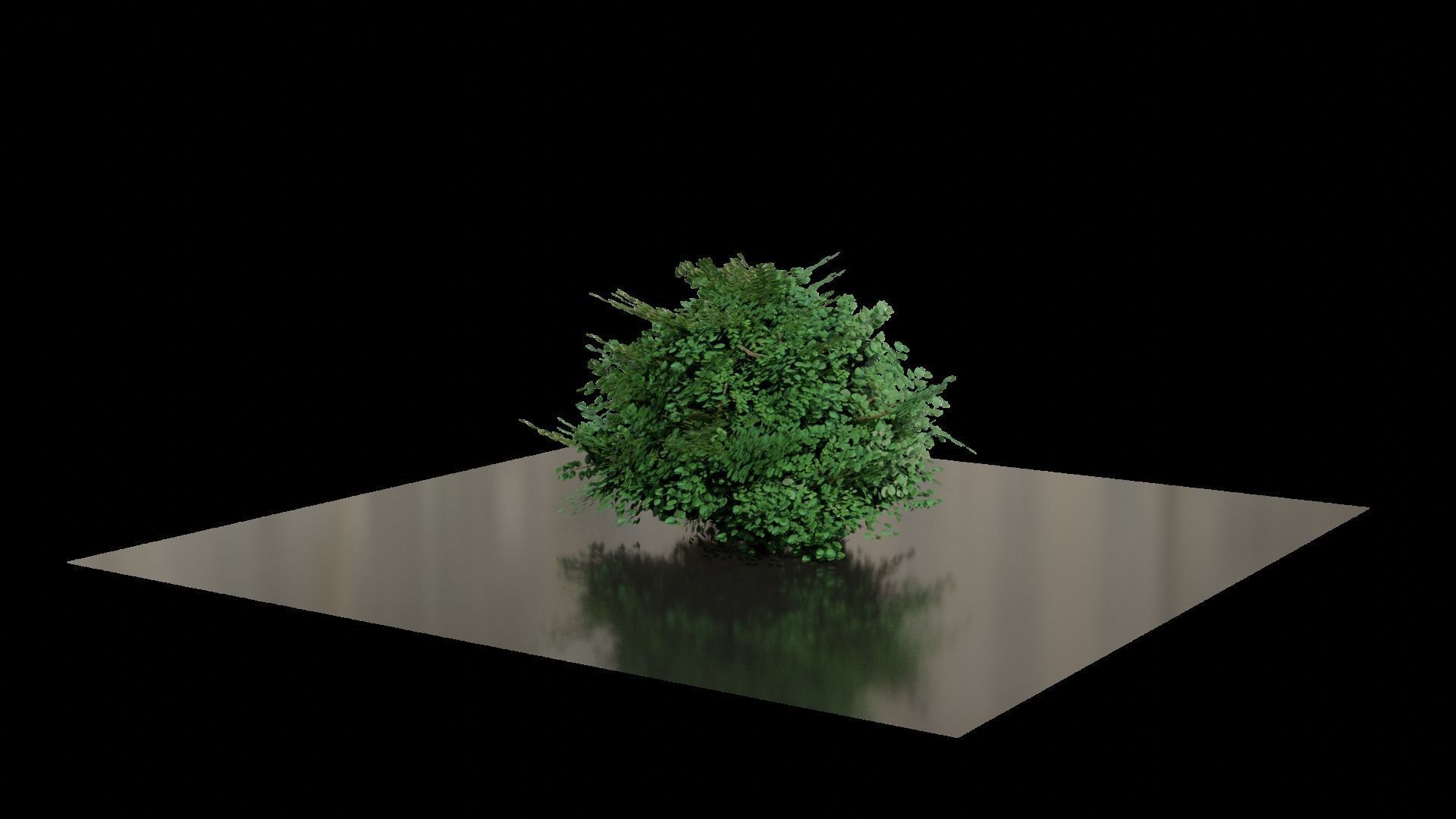 Simple shrub 3D model | CGTrader