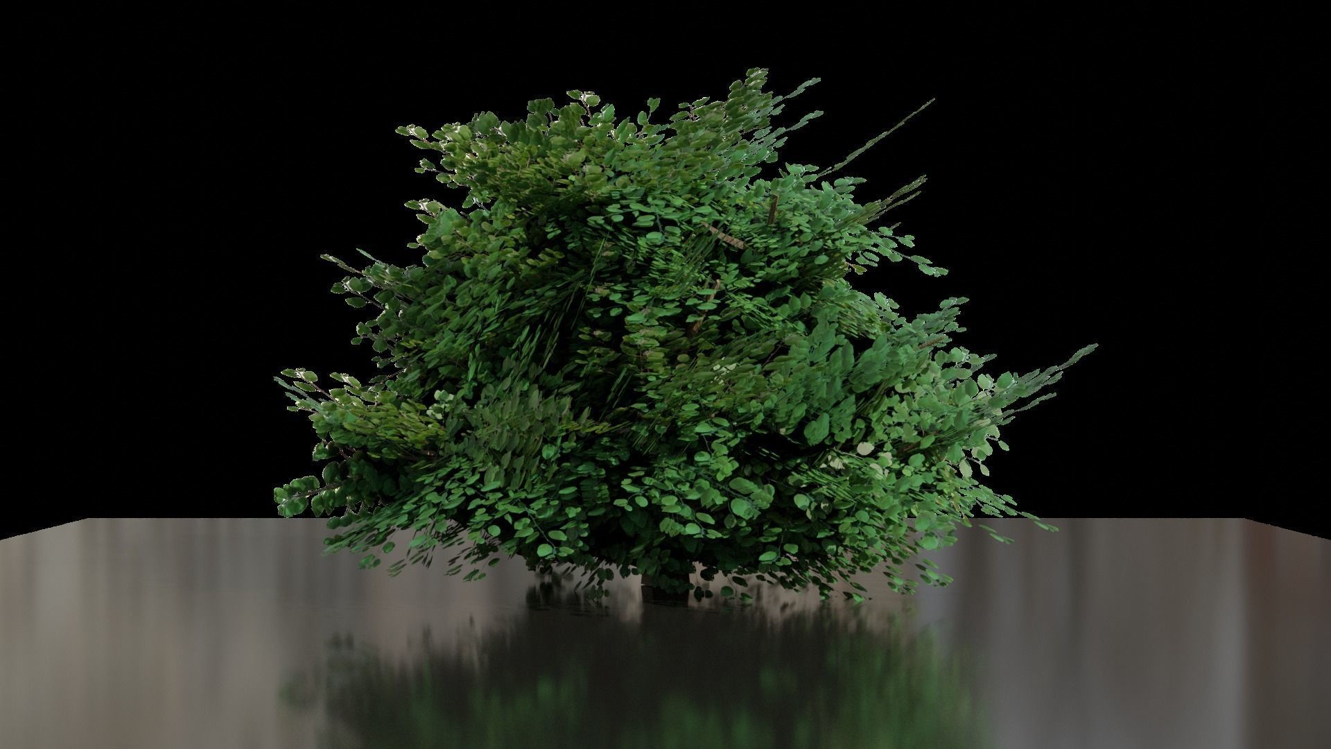 Simple shrub 3D model | CGTrader