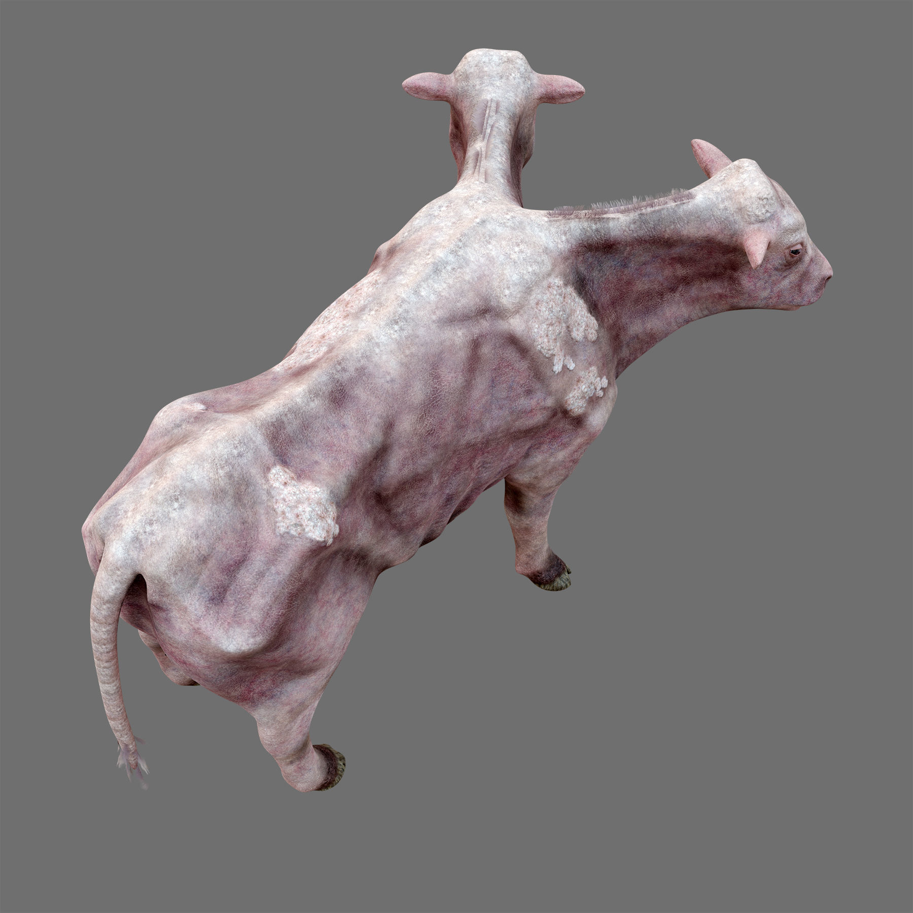 3D model Mutant Cow Monster VR / AR / low-poly | CGTrader