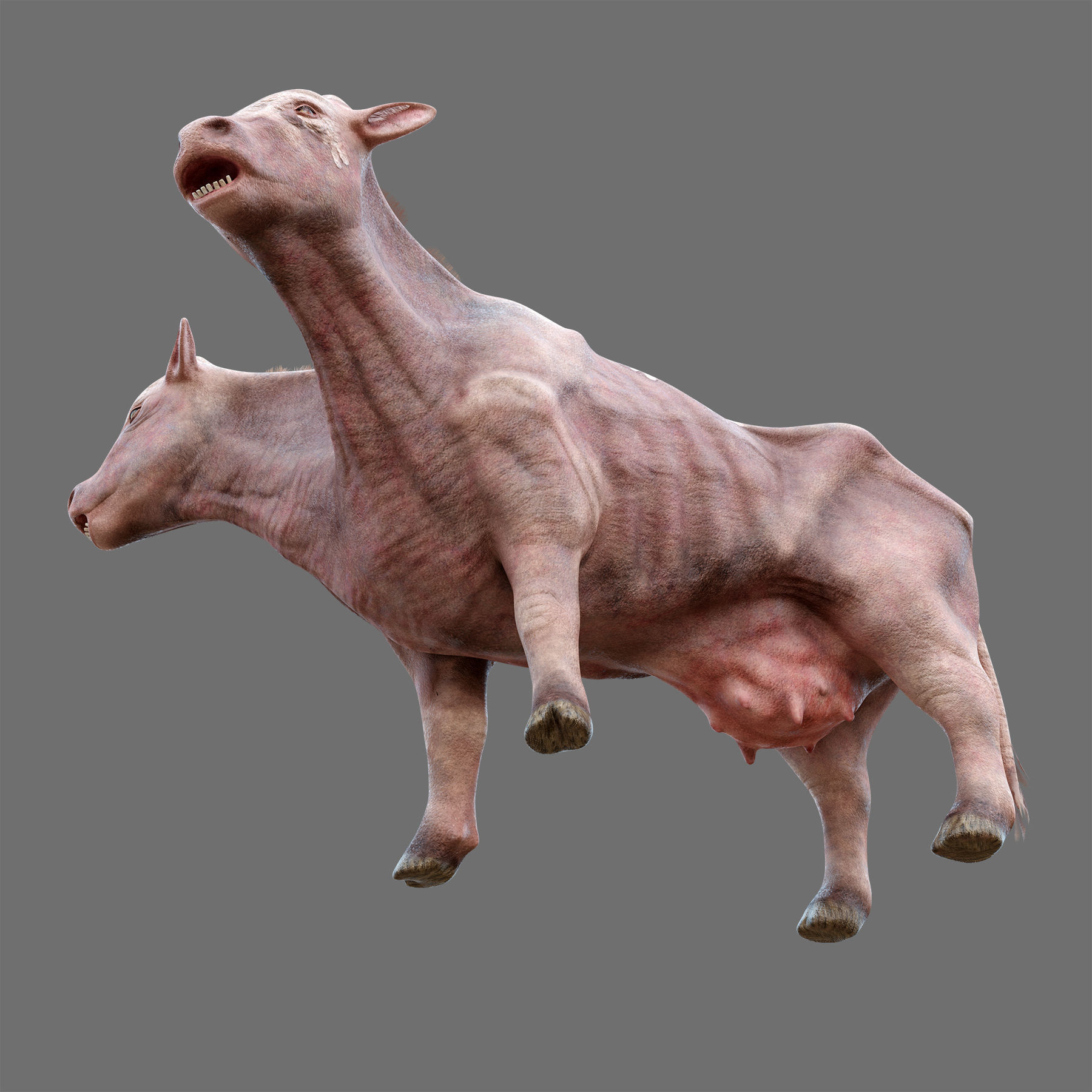 3D model Mutant Cow Monster VR / AR / low-poly | CGTrader