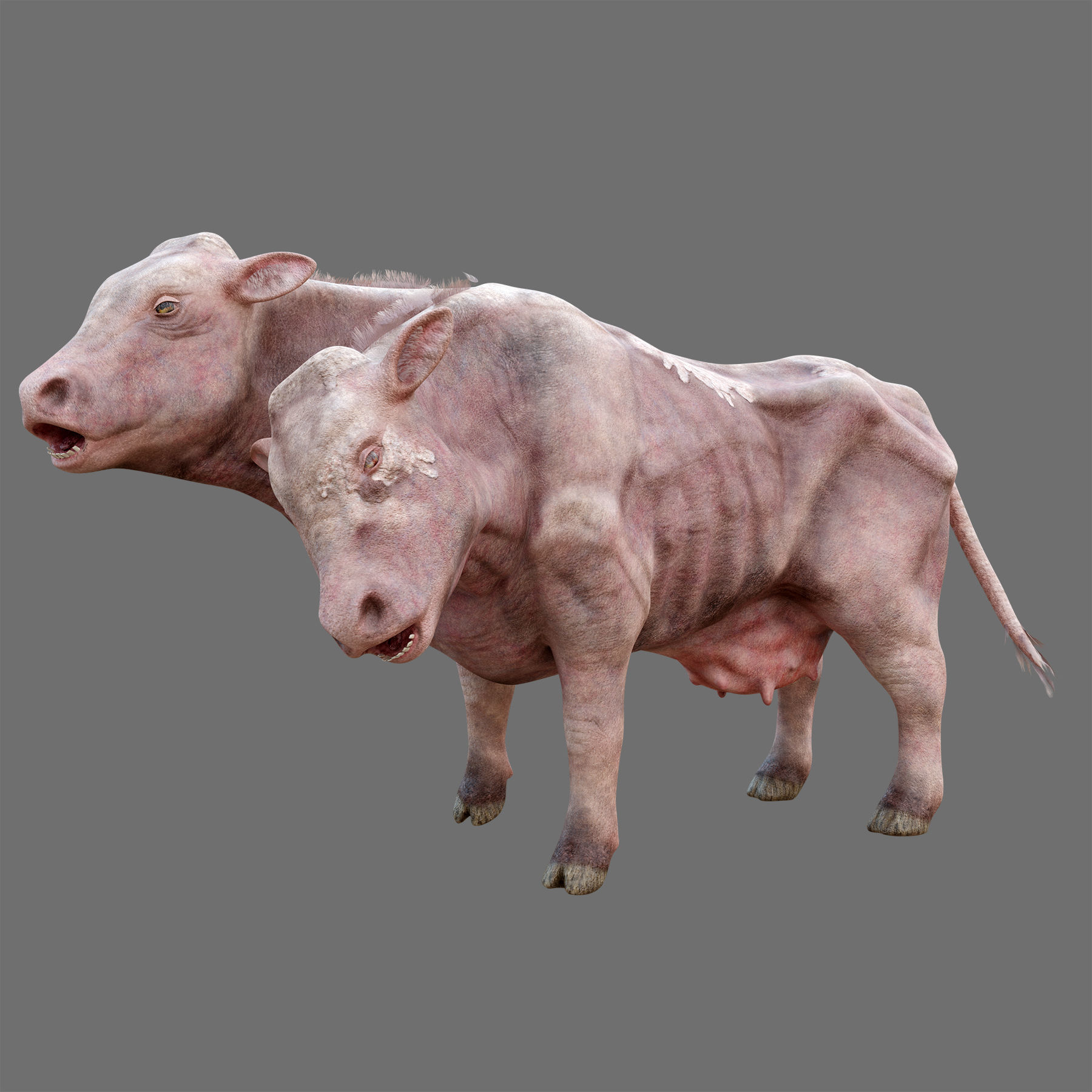 3D model Mutant Cow Monster VR / AR / low-poly | CGTrader