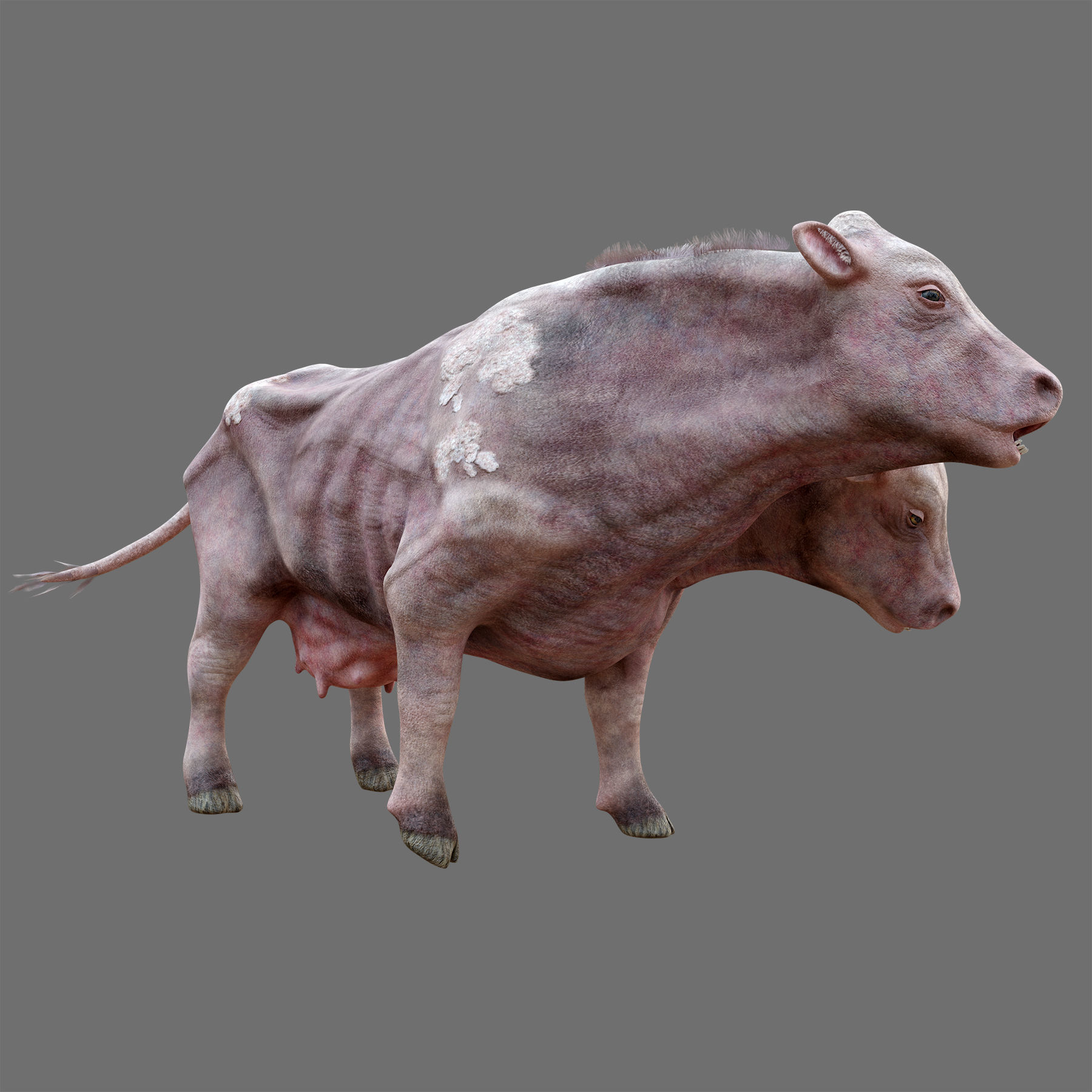 3D model Mutant Cow Monster VR / AR / low-poly | CGTrader