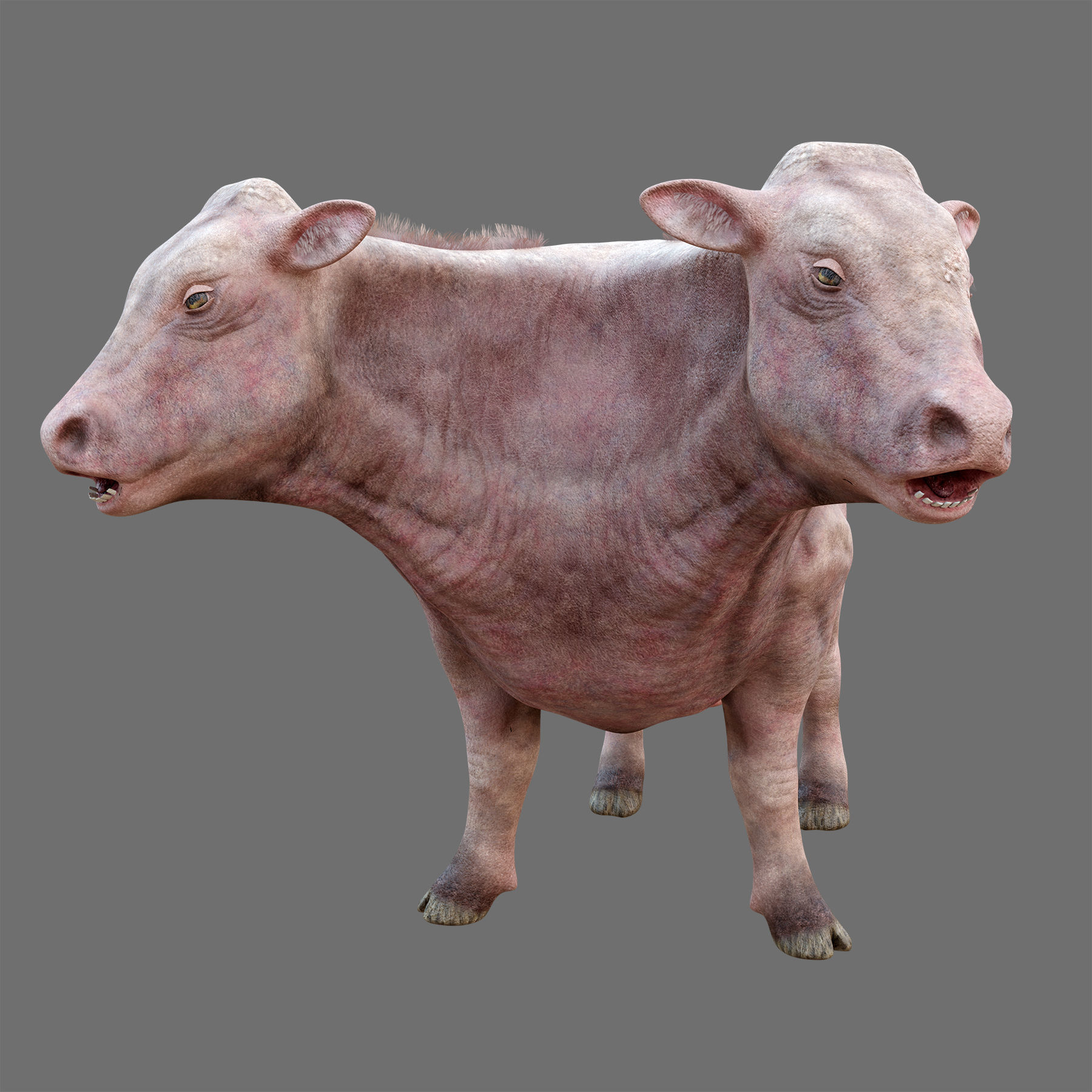 3D model Mutant Cow Monster VR / AR / low-poly | CGTrader