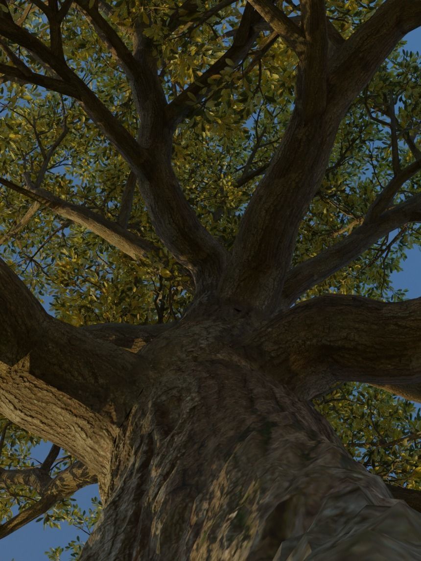 Grand Tree Pack 3D model | CGTrader