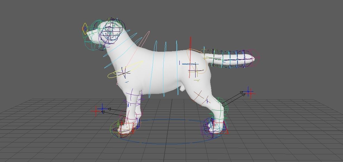 Labrador dog 3D model rigged | CGTrader