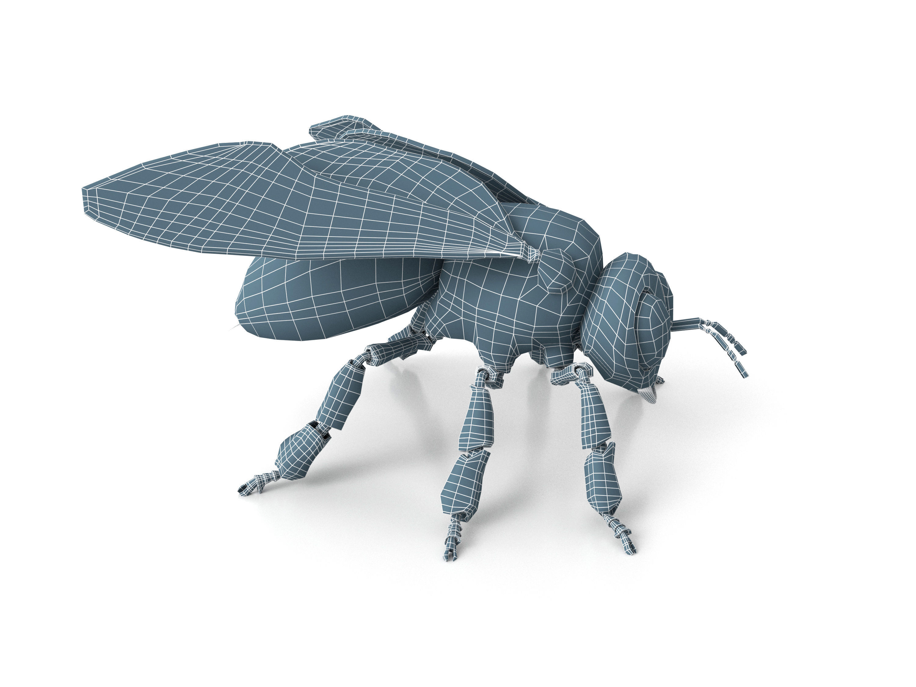 3D model Mechanical bee Low poly model VR / AR / low-poly | CGTrader
