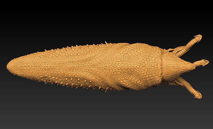 Tremors Graboid 3D model | CGTrader