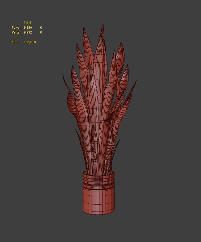 Sansevieria snake plant 3D model | CGTrader