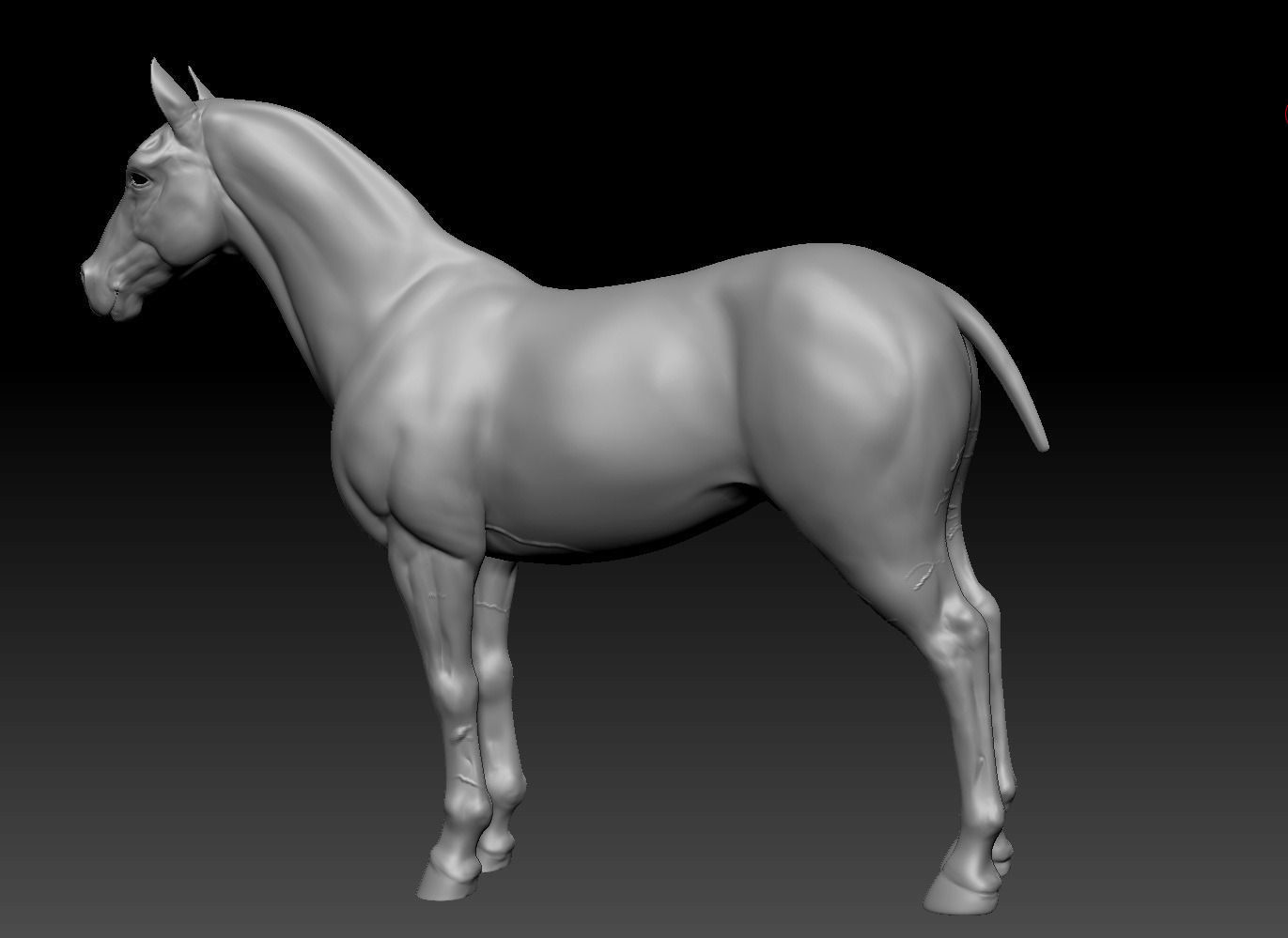 Horse final 3D model rigged | CGTrader