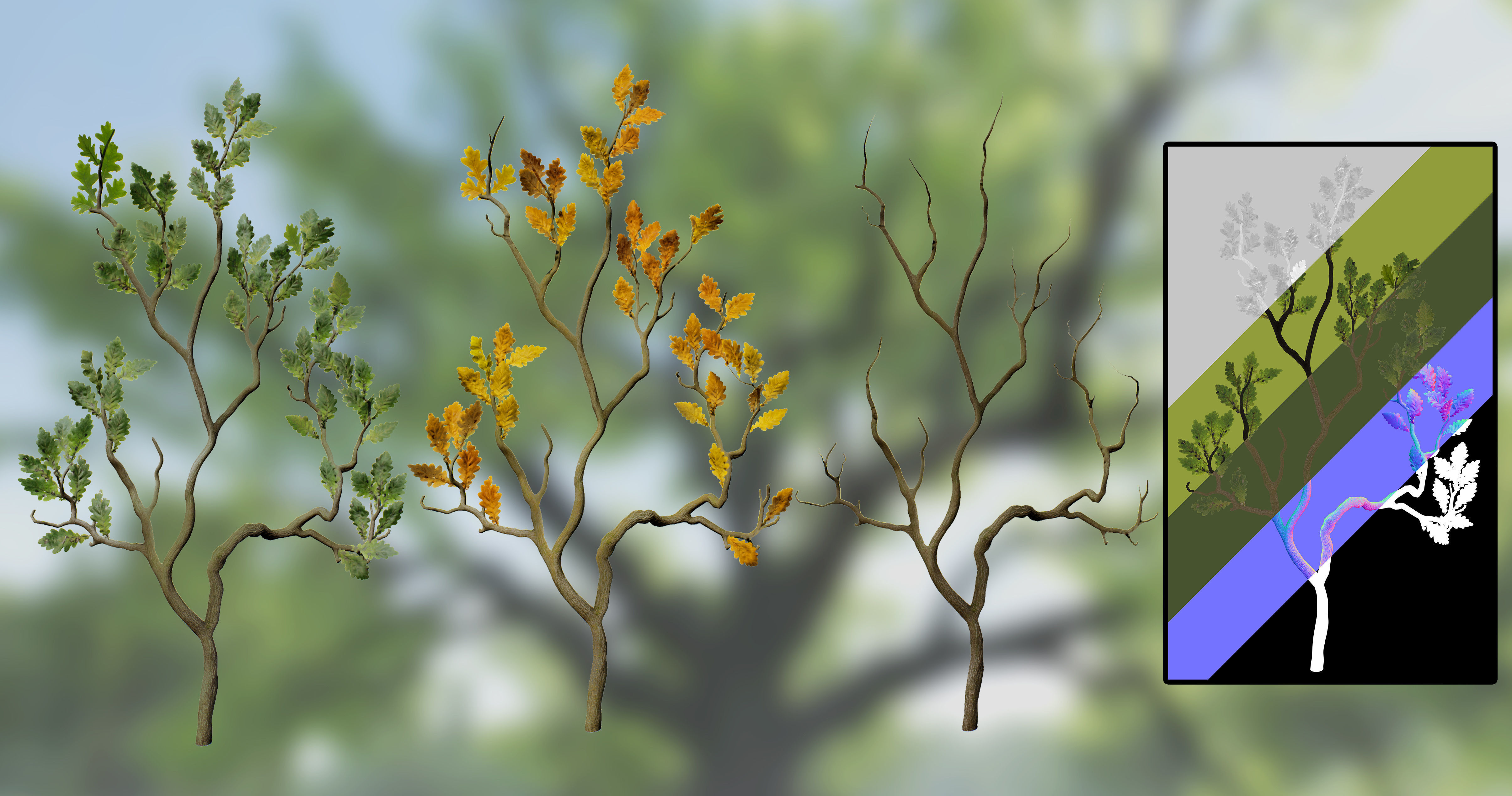 3D model Realistic Broadleaf Oak Trees for games VR / AR / low-poly ...