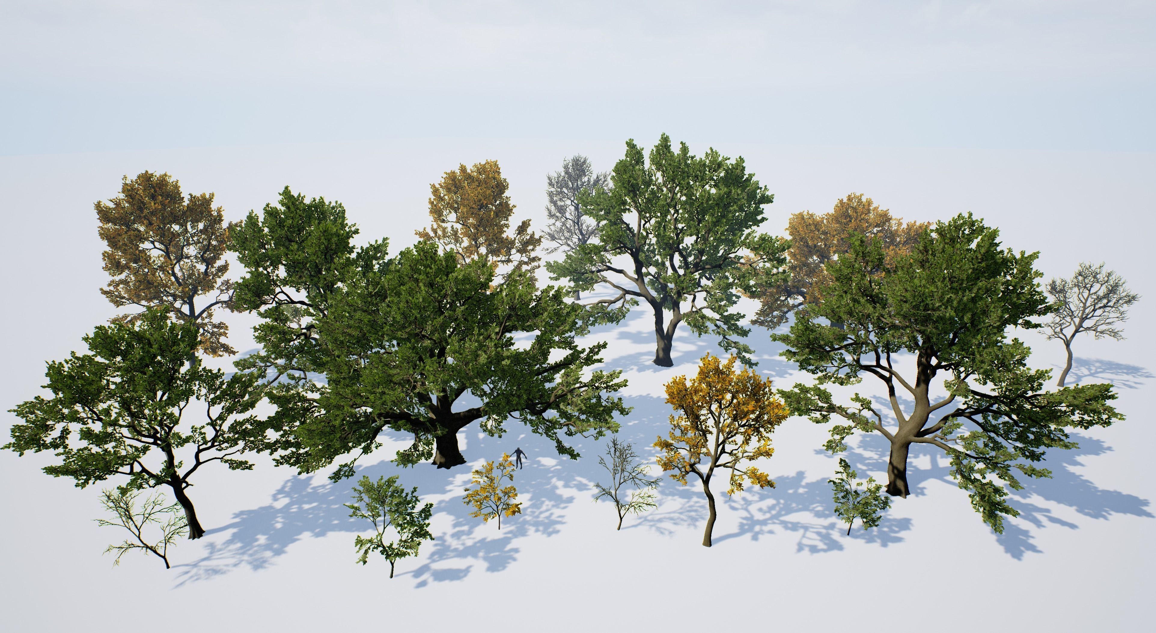 3D model Realistic Broadleaf Oak Trees for games VR / AR / low-poly ...