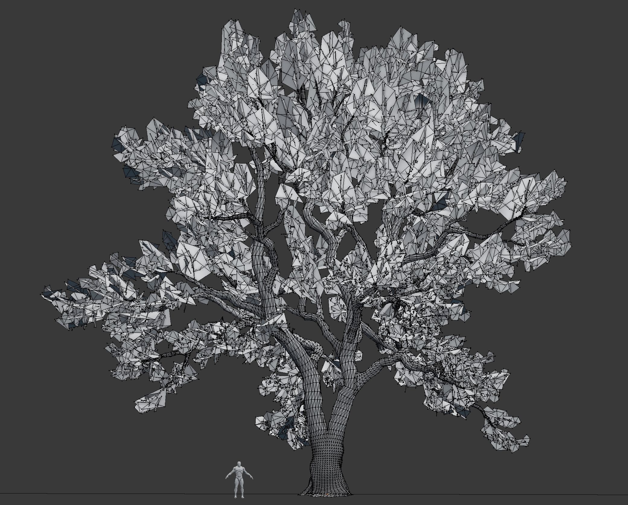 3D model Realistic Broadleaf Oak Trees for games VR / AR / low-poly ...