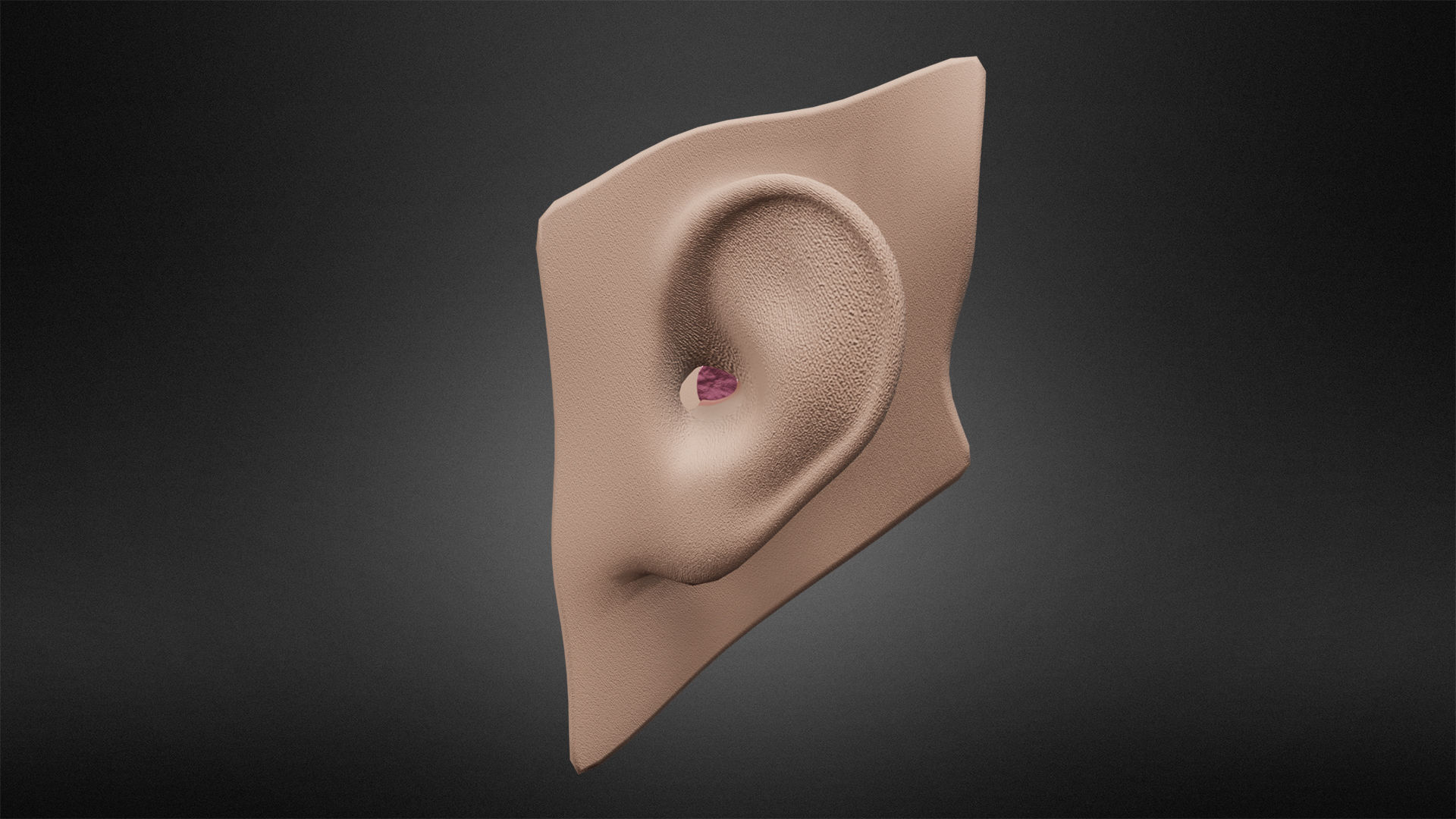3D model Auditory System VR / AR / low-poly | CGTrader