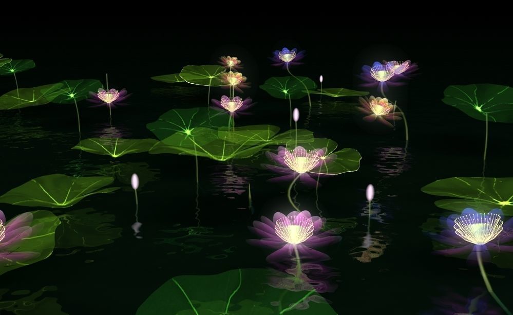 X-ray Lotus animation 3D model animated | CGTrader