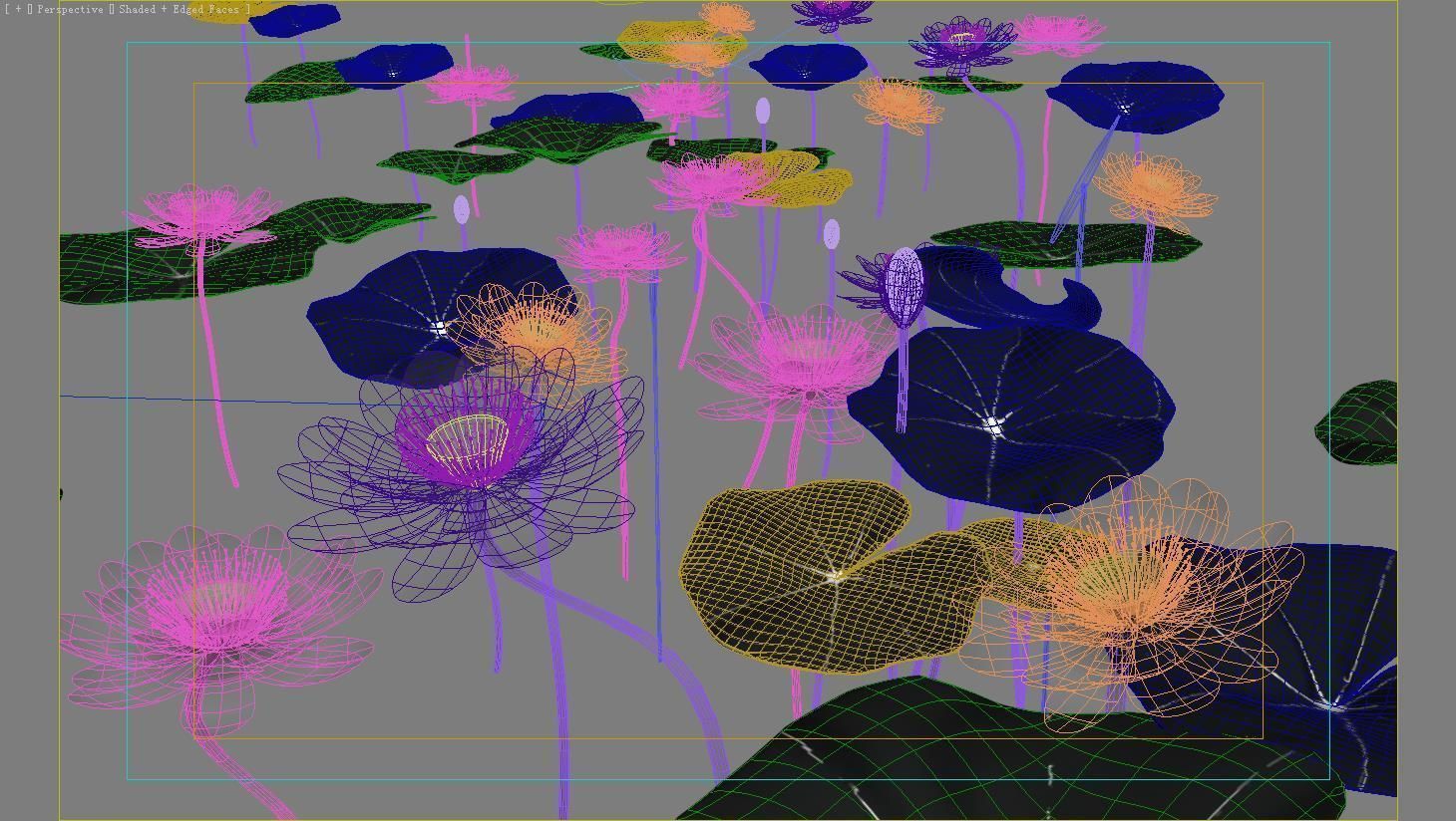 X-ray Lotus animation 3D model animated | CGTrader