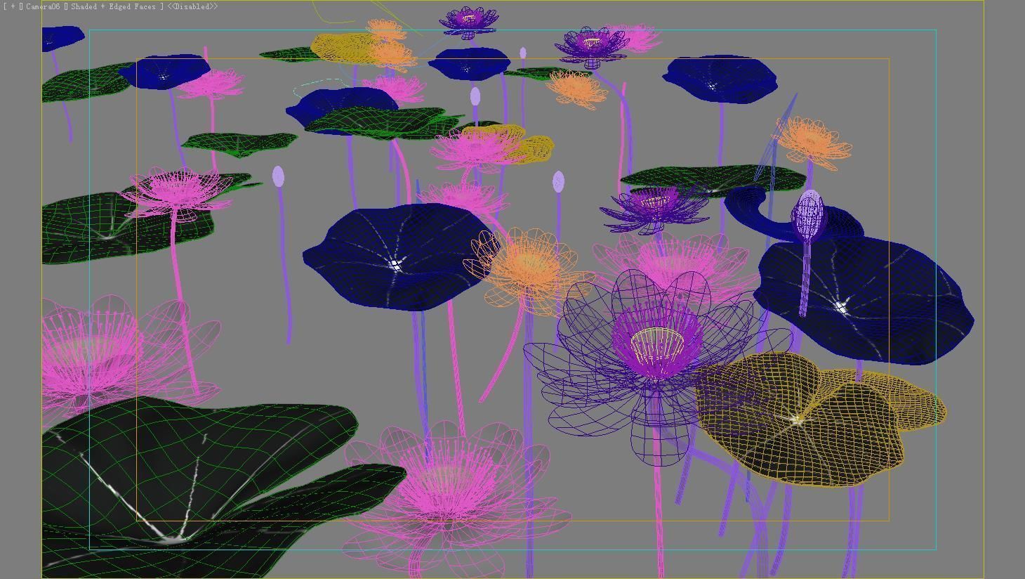 X-ray Lotus animation 3D model animated | CGTrader