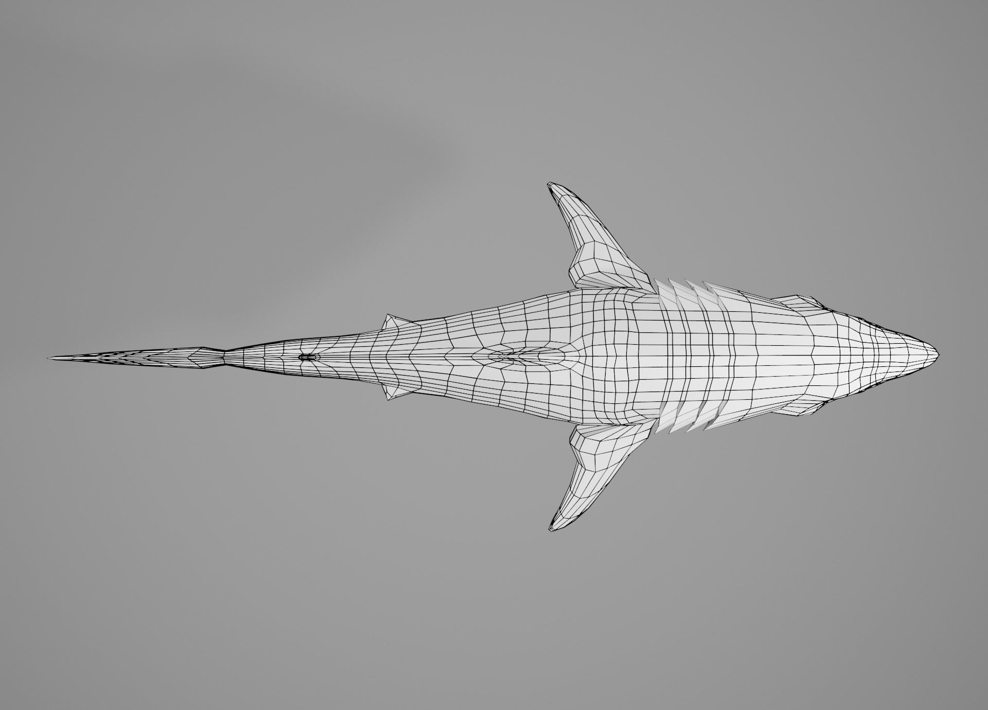3D model Great White Shark VR / AR / low-poly rigged animated | CGTrader