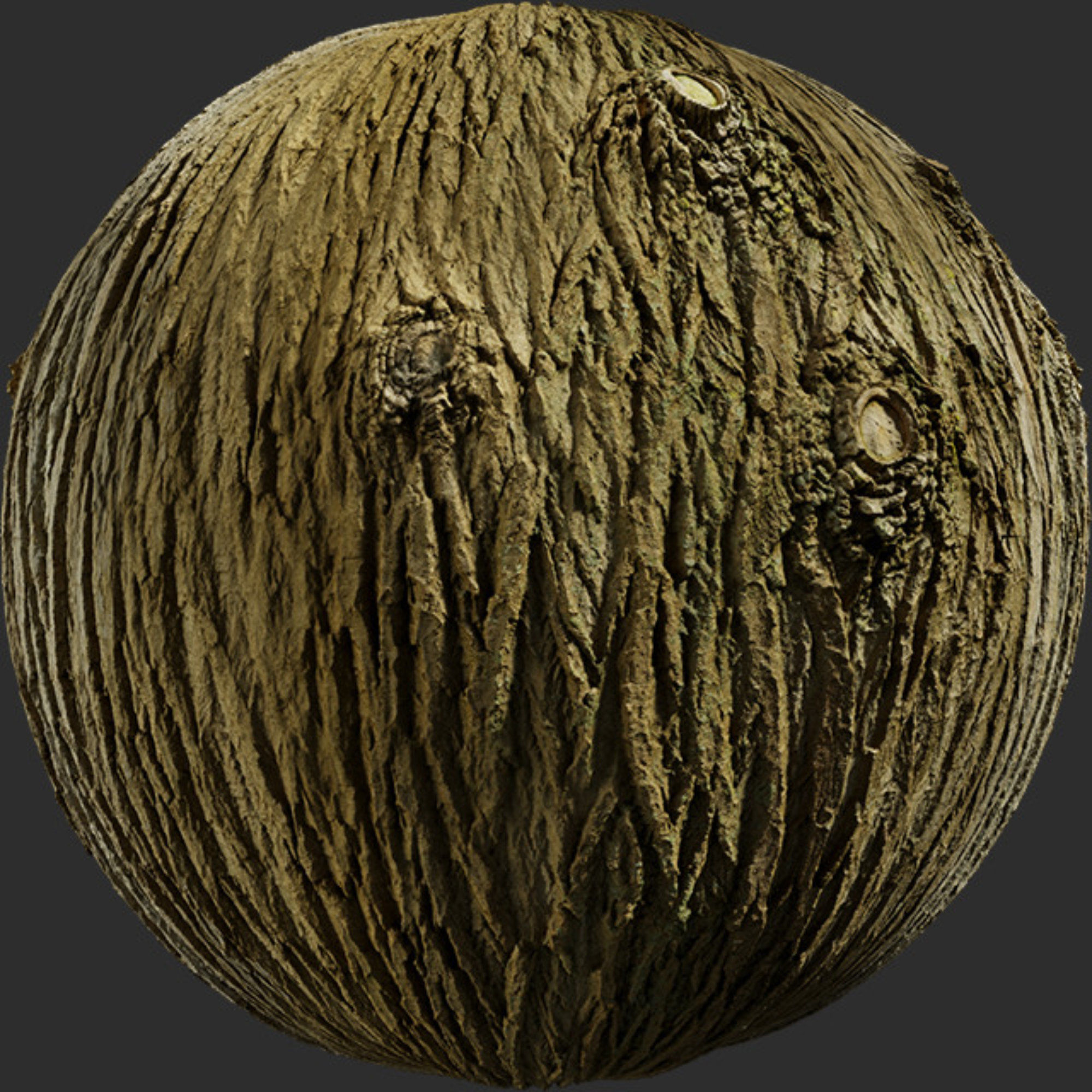 Wood Textures - 8K CC0 free Texture | CGTrader