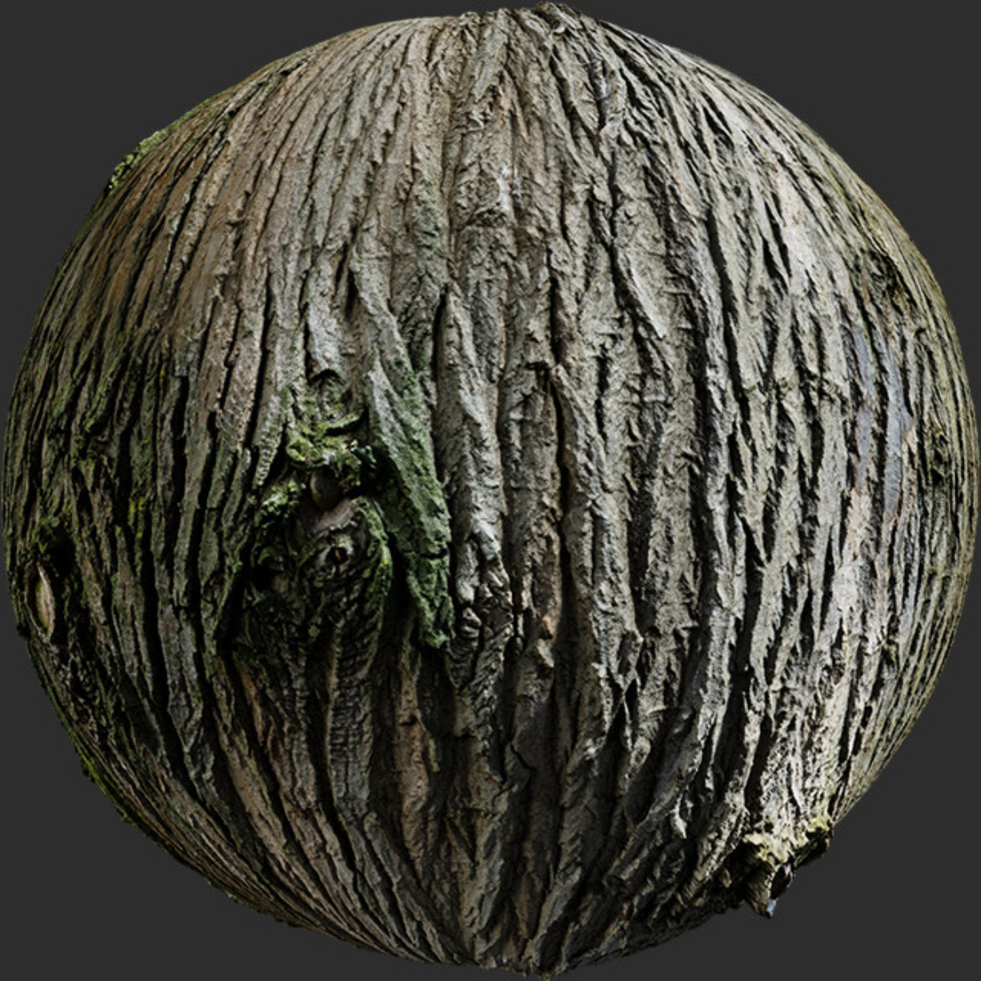 Wood Textures - 8K CC0 free Texture | CGTrader