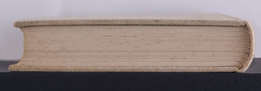 Book Rigged 3D model animated rigged | CGTrader