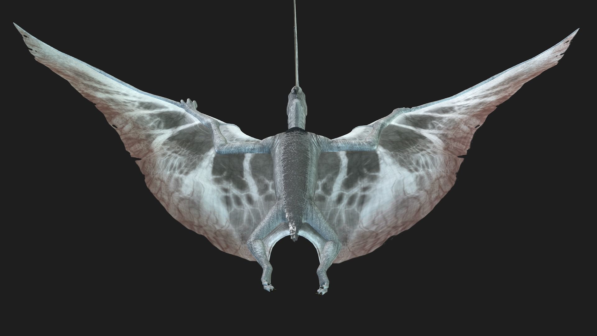 Dinos Flying 3D model | CGTrader