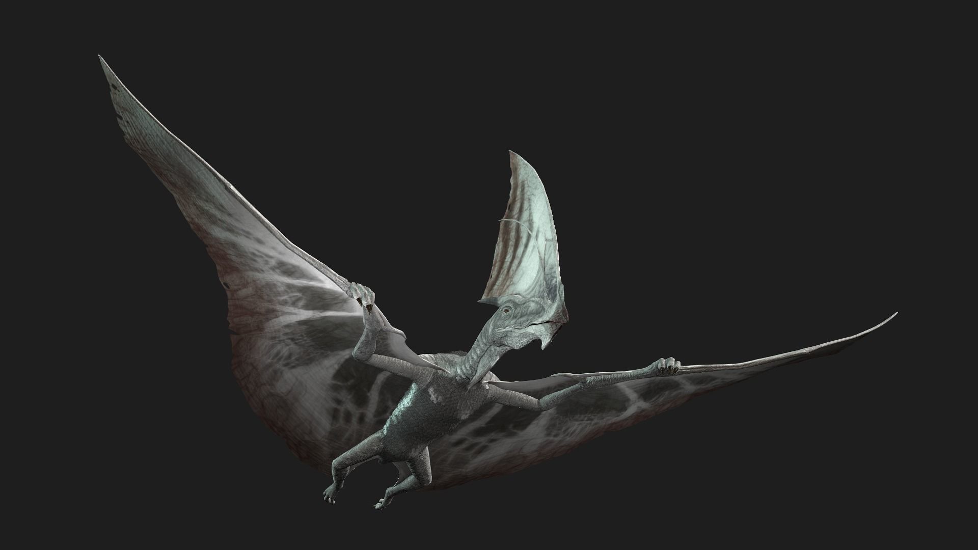 Dinos Flying 3D model | CGTrader