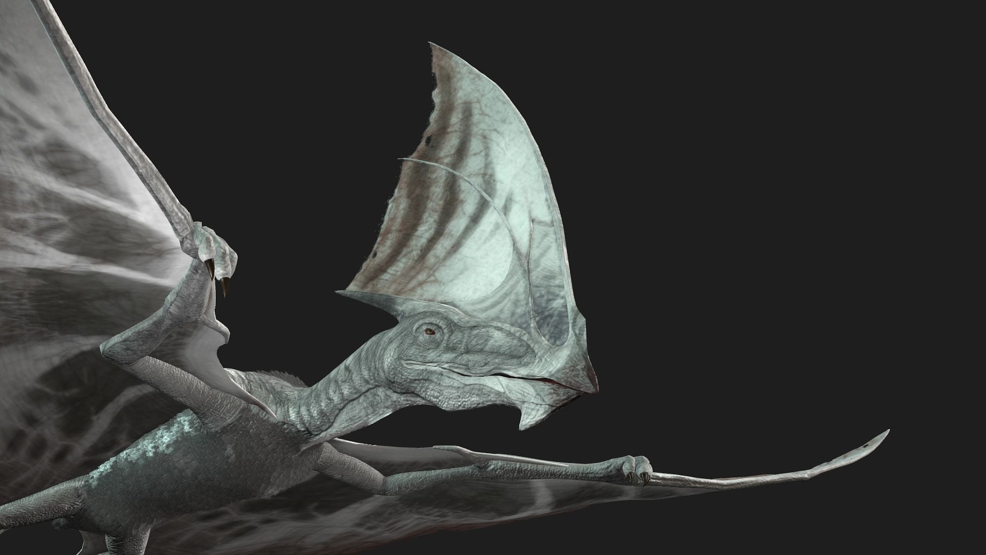 Dinos Flying 3D model | CGTrader