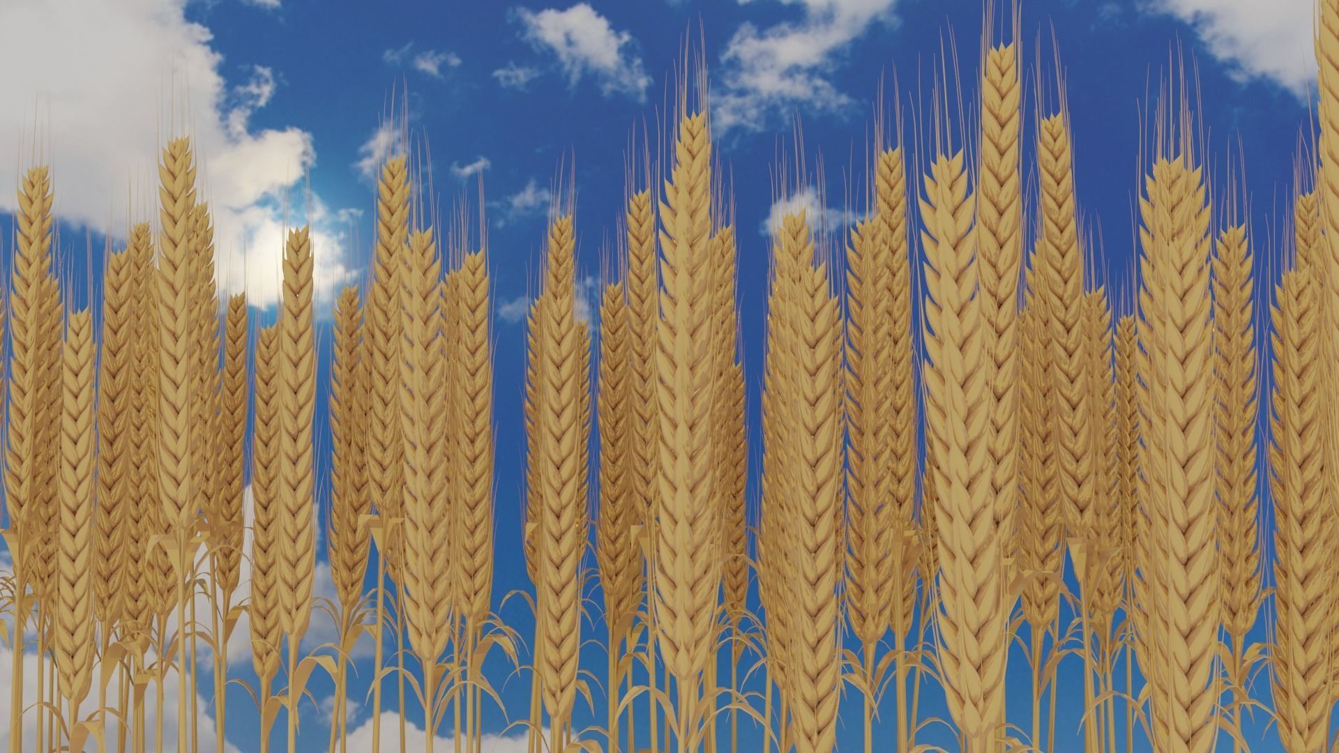 3D model High Quality 3D Detailed Barley Model VR / AR / low-poly ...